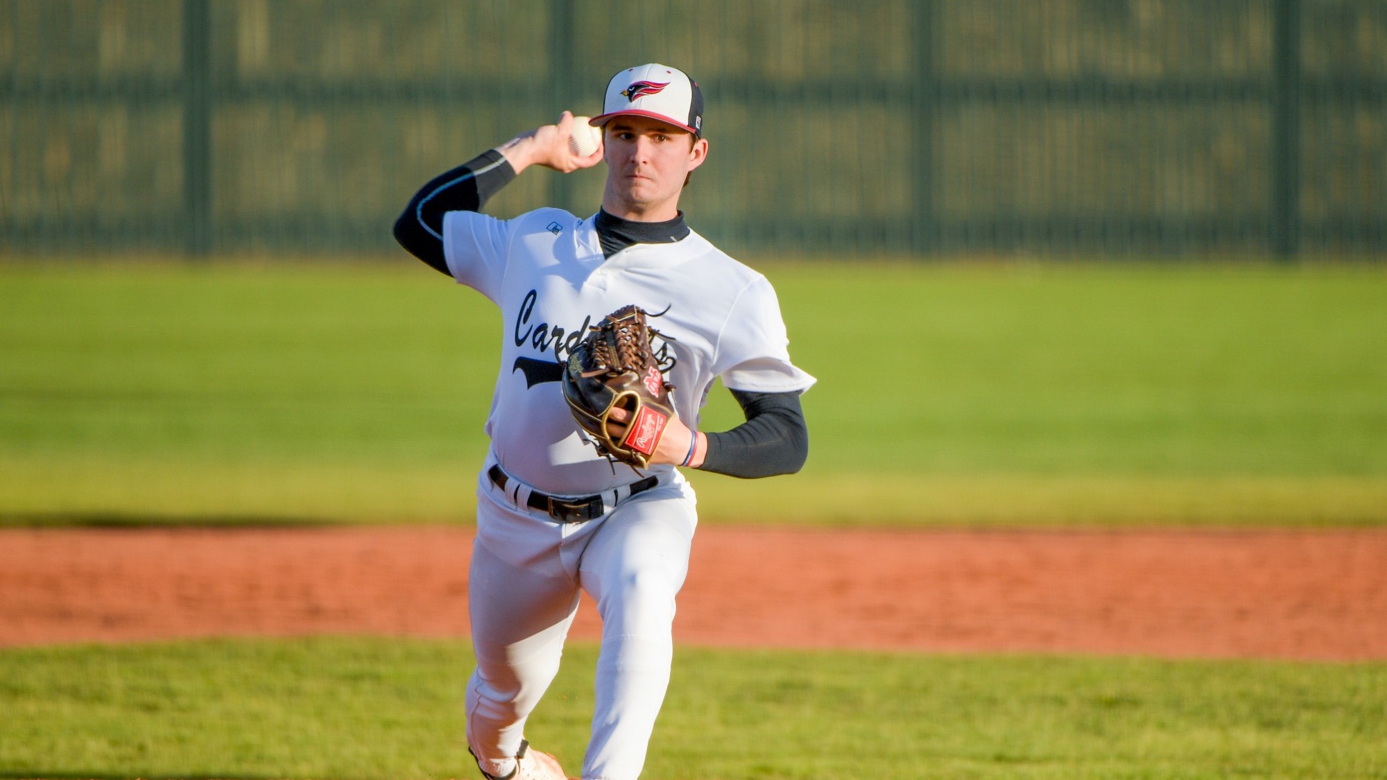 Jason Shanner - Baseball - North Central College Athletics