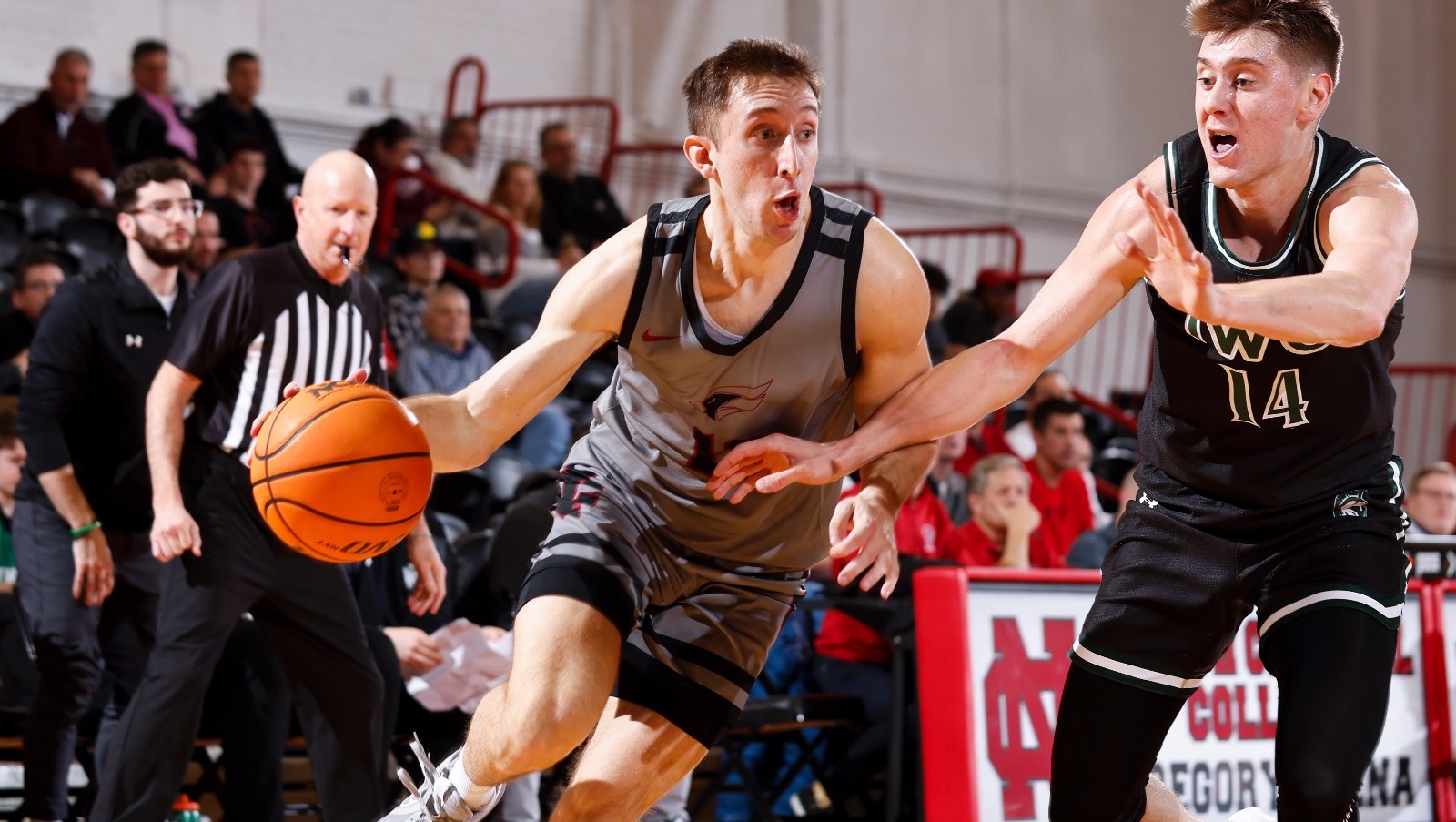 Matt Helwig - Men's Basketball - North Central College Athletics