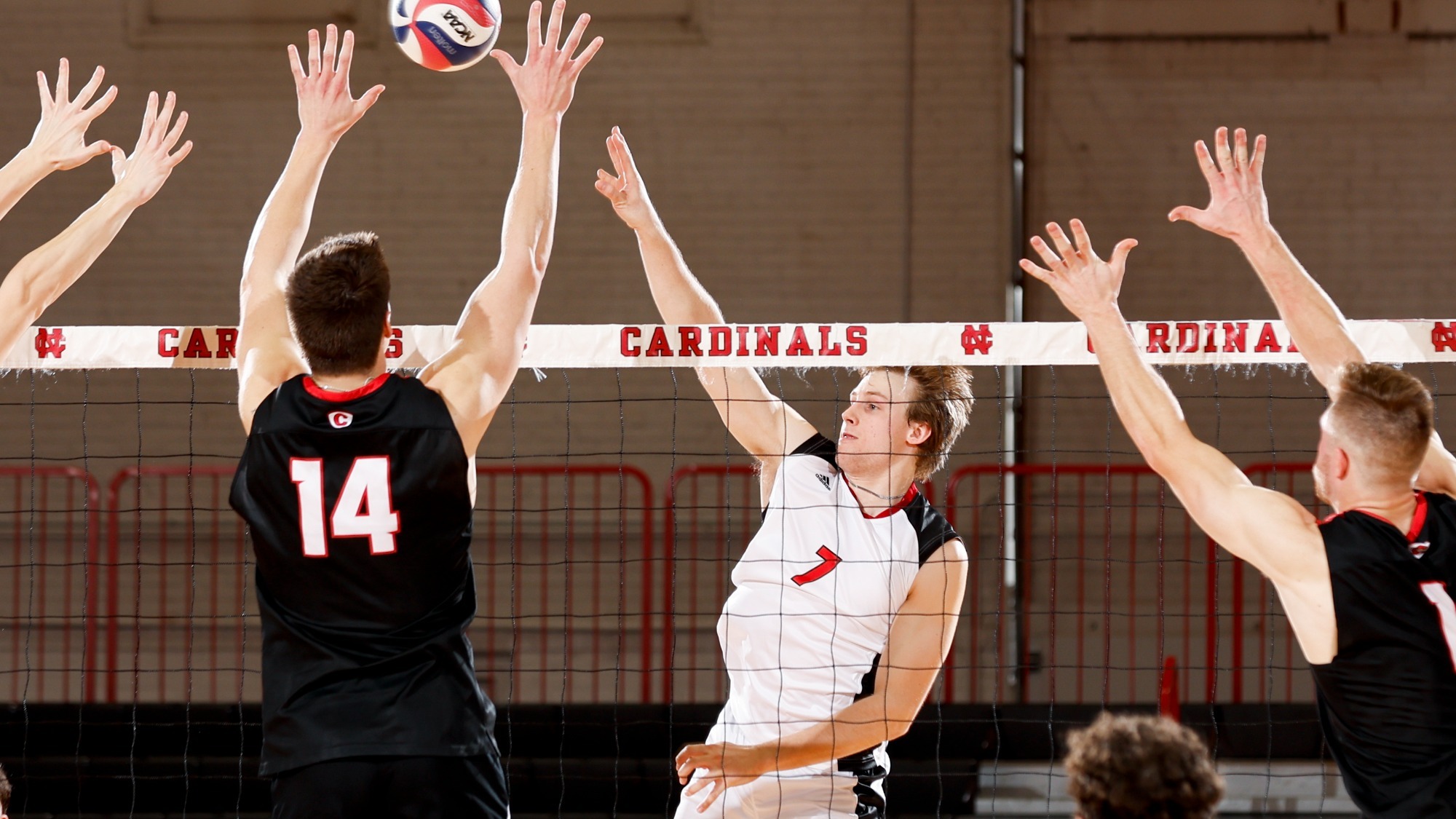 Jared Moser - Men's Volleyball - North Central College Athletics