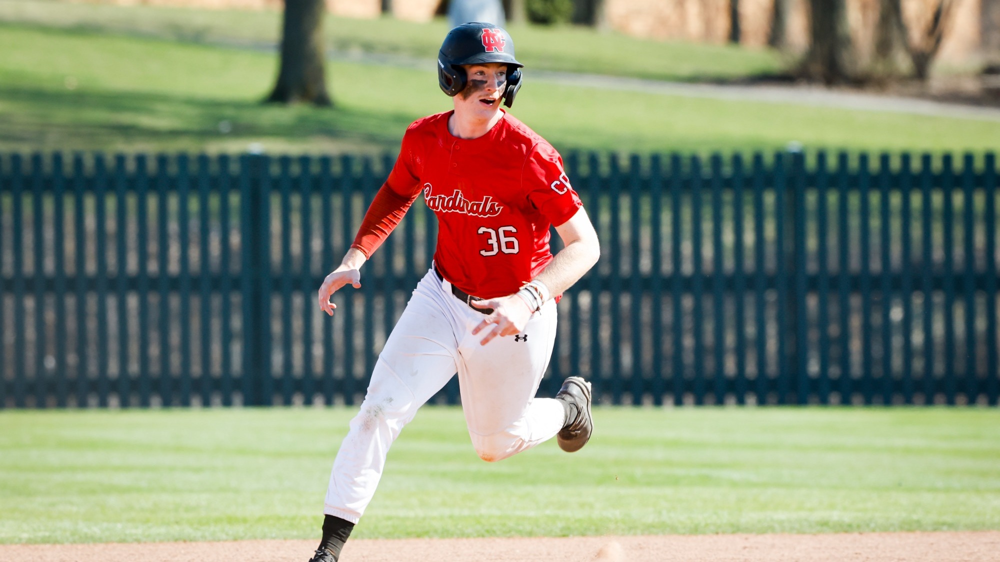 Dave Fitzpatrick - Baseball - North Central College Athletics