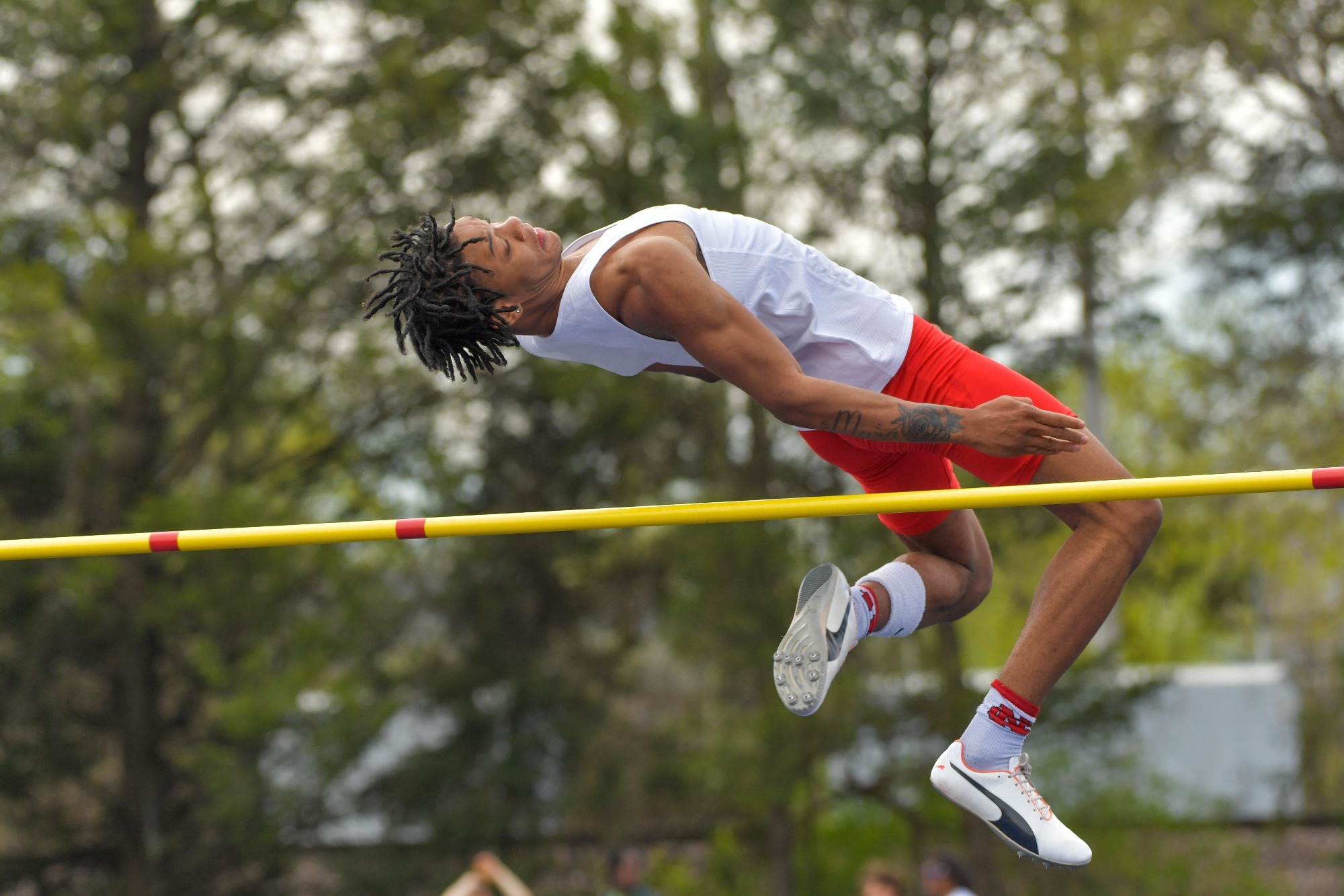 Men's Track Wins Seven Events at Wheaton & Augustana - North Central ...