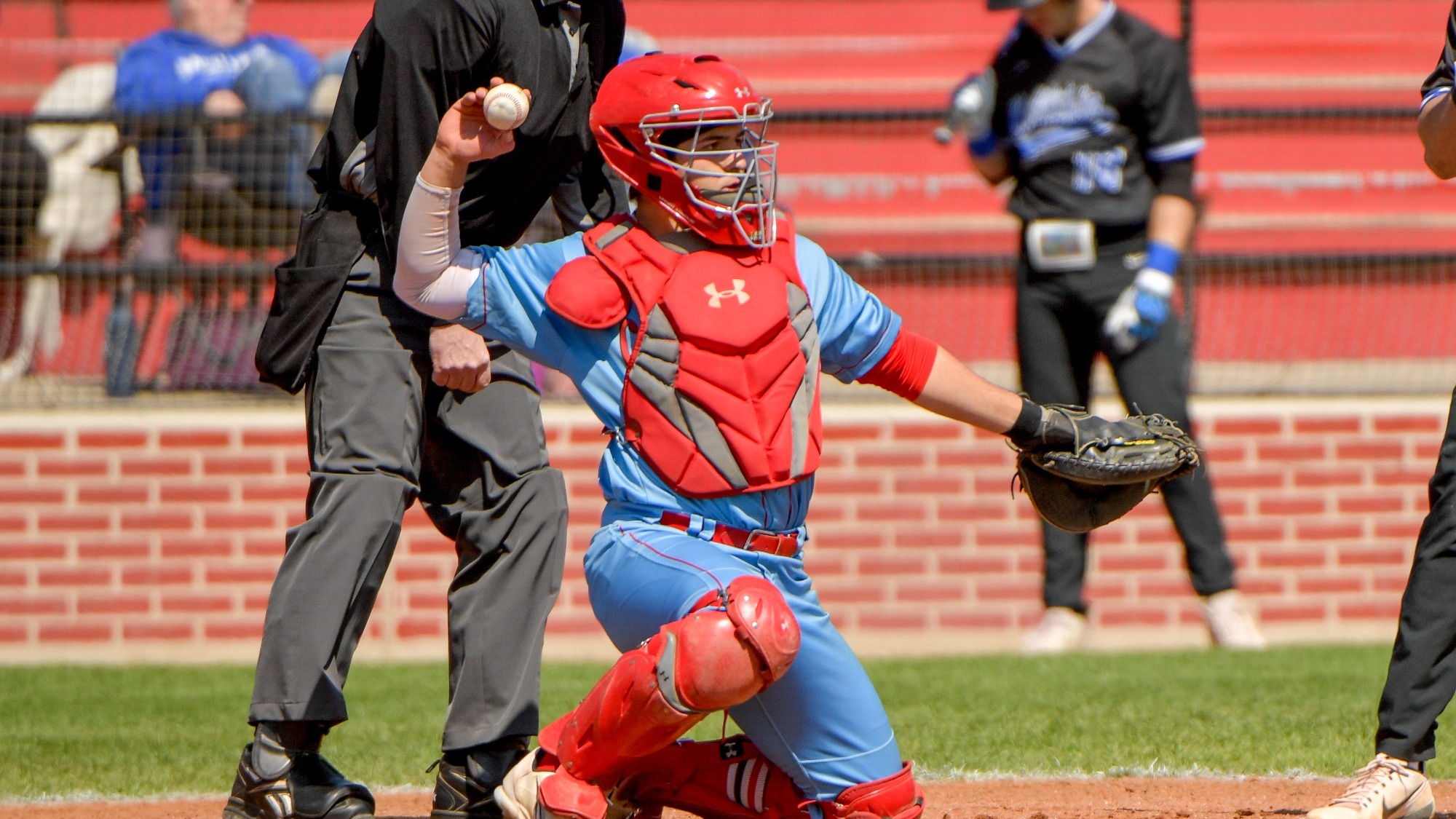 Michael Davis - Baseball - North Central College Athletics