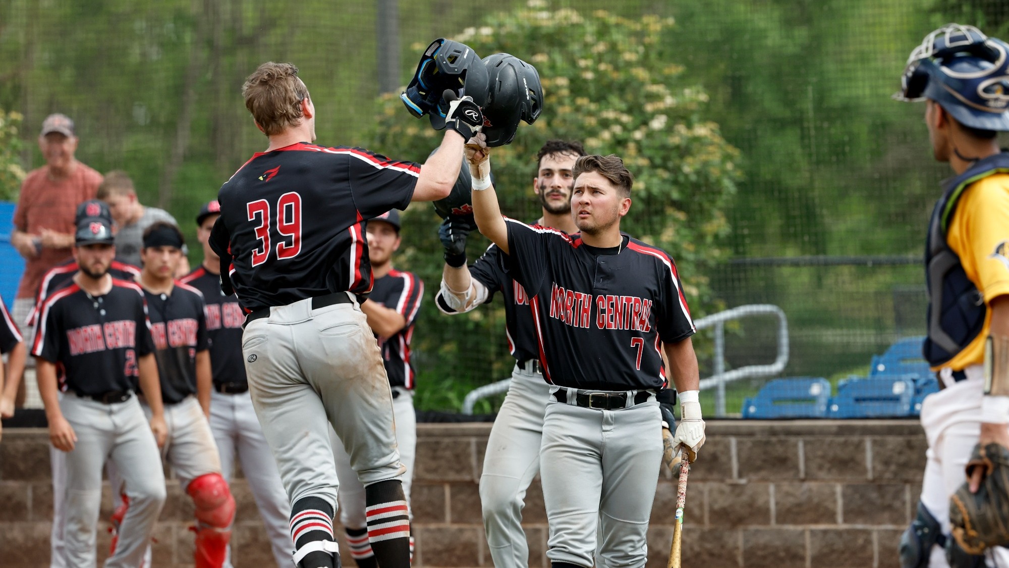 Cardinals Bow Out of CCIW Baseball Tournament - North Central College ...