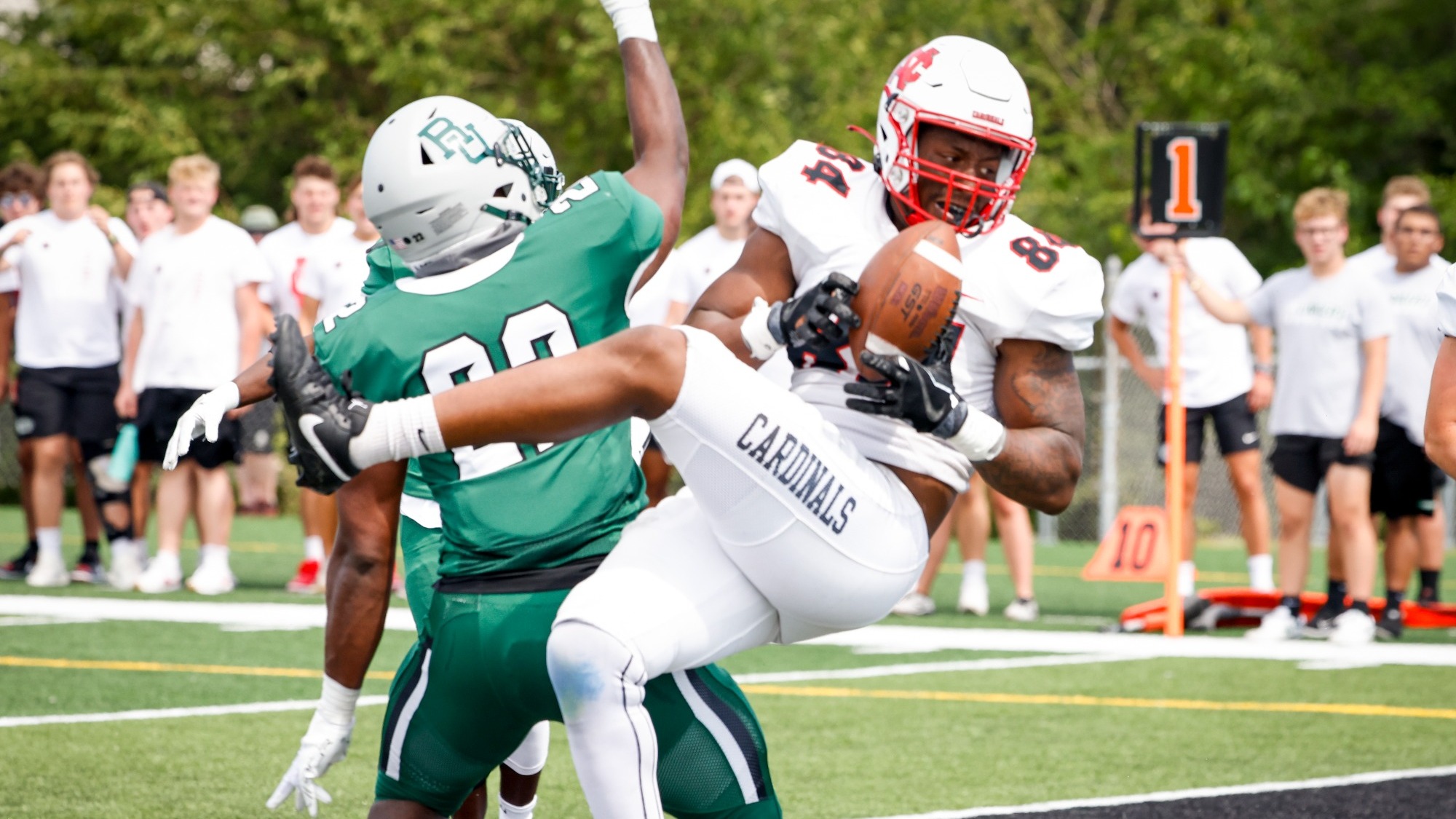 Matt Robinson - Football - North Central College Athletics