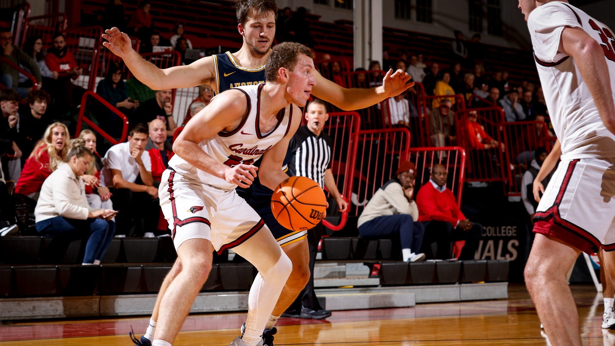 Erikas Gurskas - Men's Basketball - North Central College Athletics