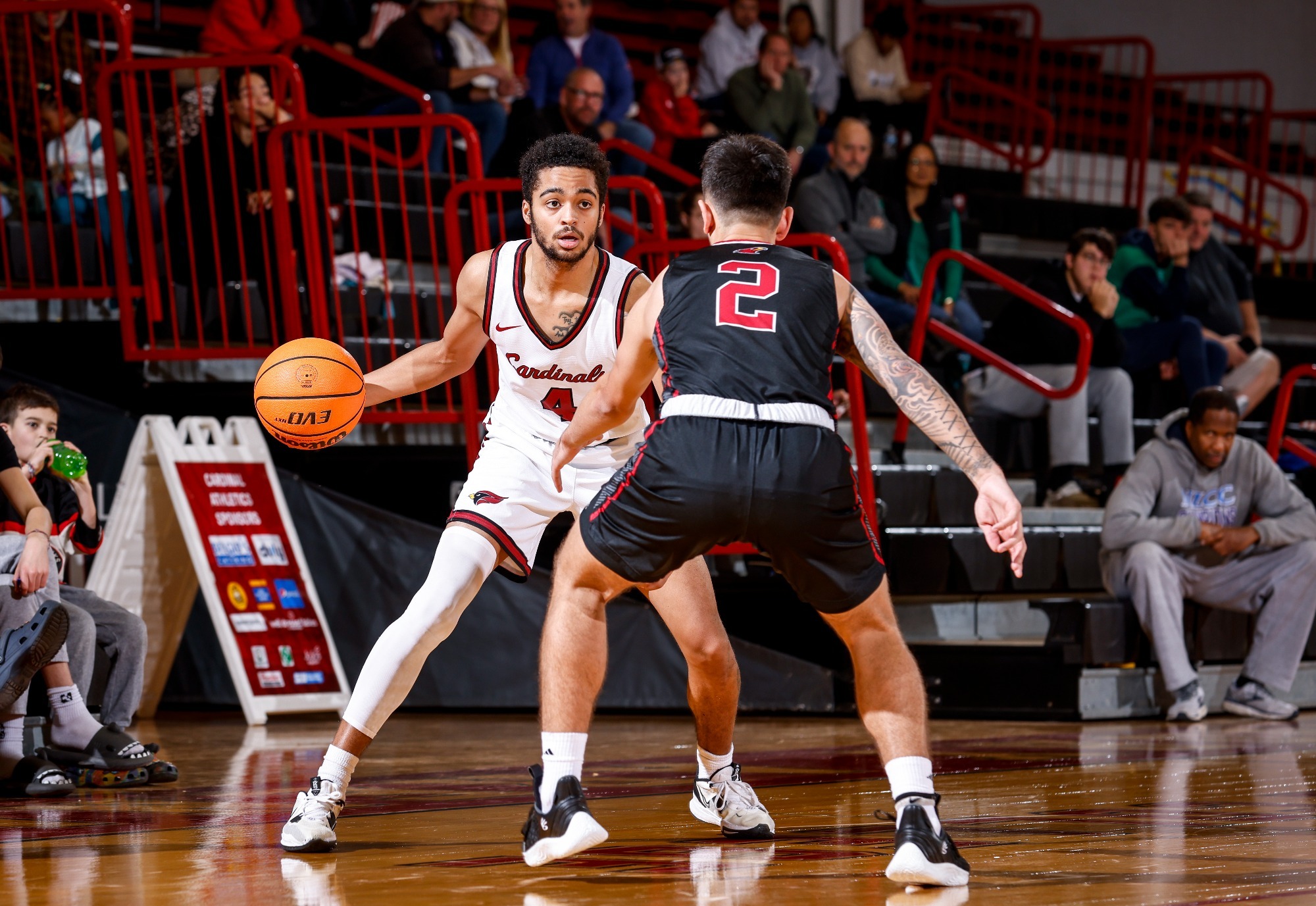 Nick Smoldt - Men's Basketball - North Central College Athletics