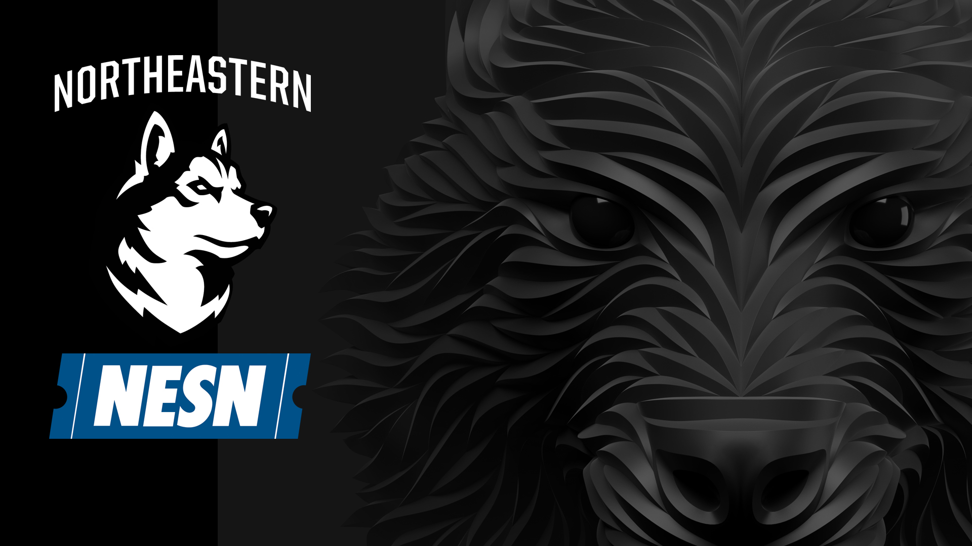 Northeastern and NESN announce 2018-19 hockey TV schedule ...