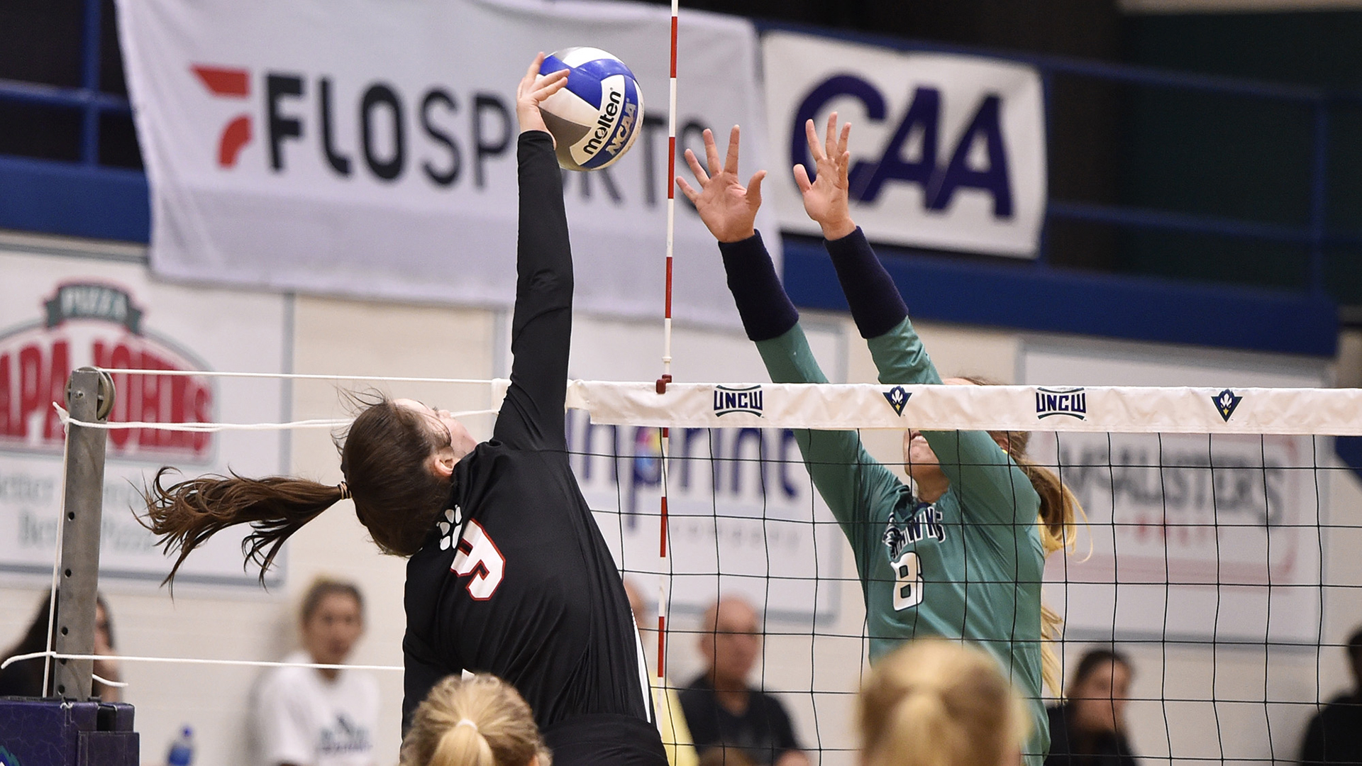 Erica Staunton - Women's Volleyball - Northeastern University Athletics