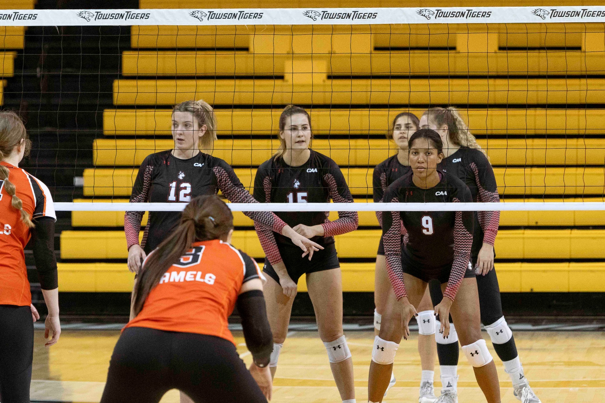 Huskies Fall To #3 Campbell In CAA Quarterfinal - Northeastern ...