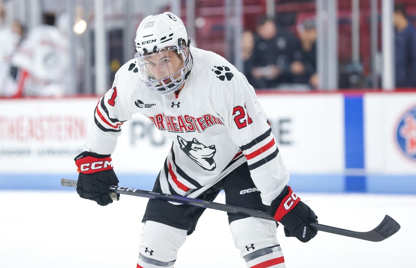 Matt DeMelis - Men's Ice Hockey - Northeastern University Athletics