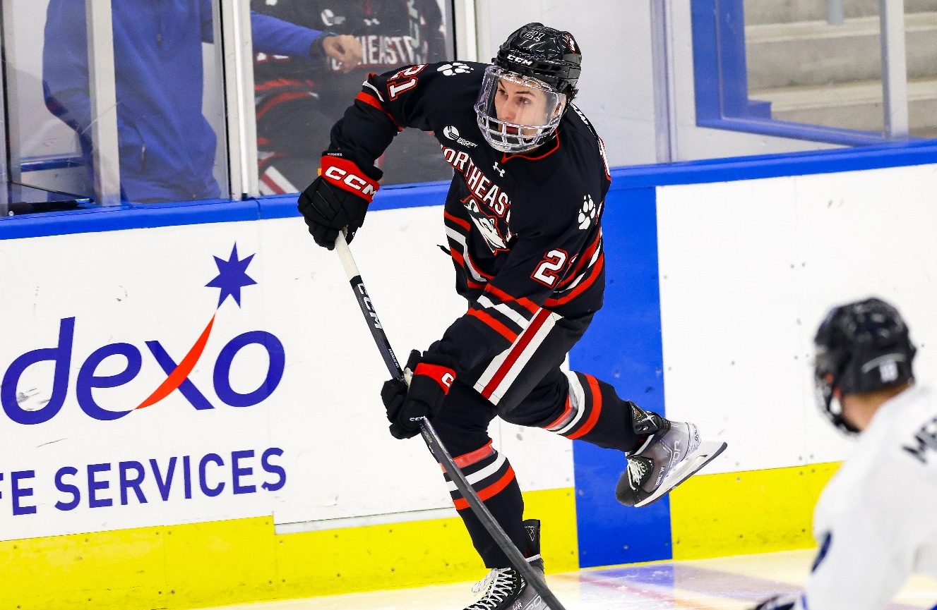 Matt DeMelis - Men's Ice Hockey - Northeastern University Athletics