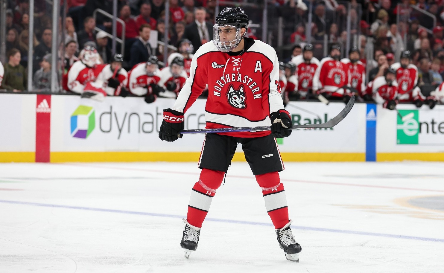 Jayden Struble - Men's Ice Hockey - Northeastern University Athletics