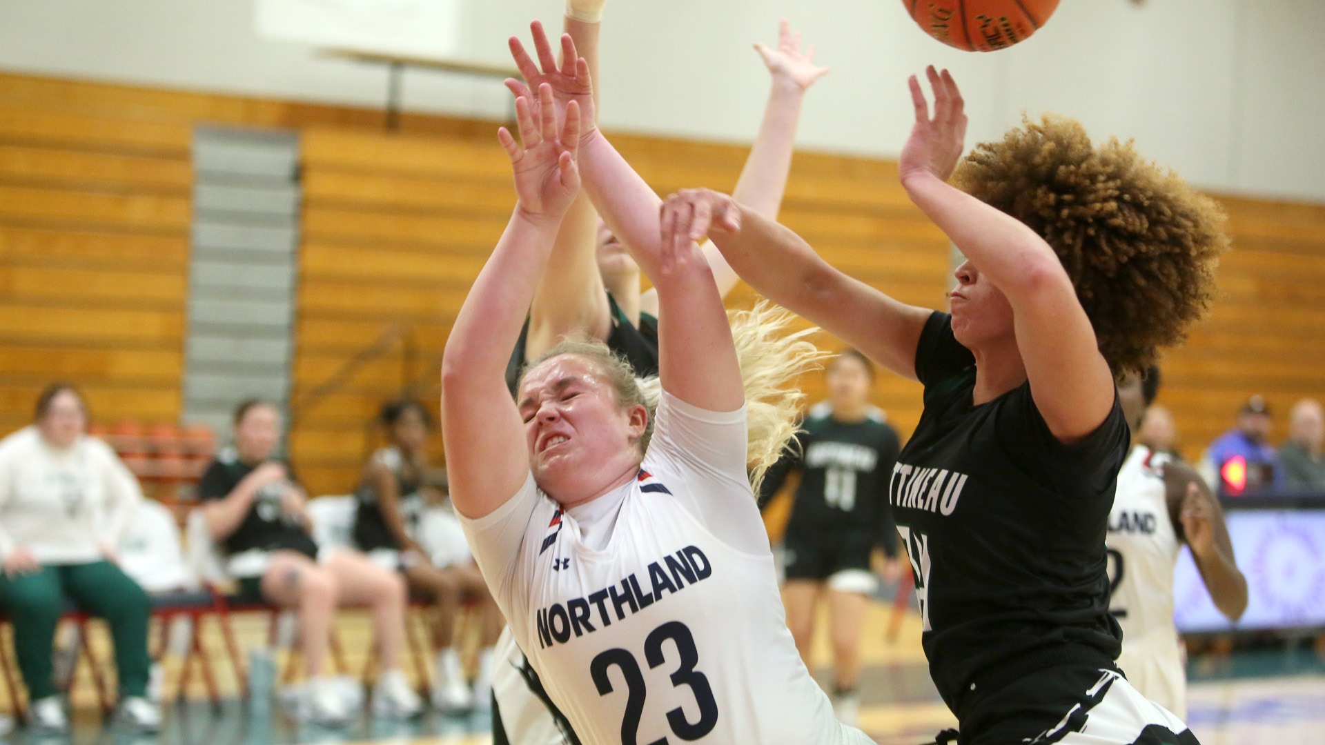 Riley Mooney - Women's Basketball - Northland Community and Technical ...