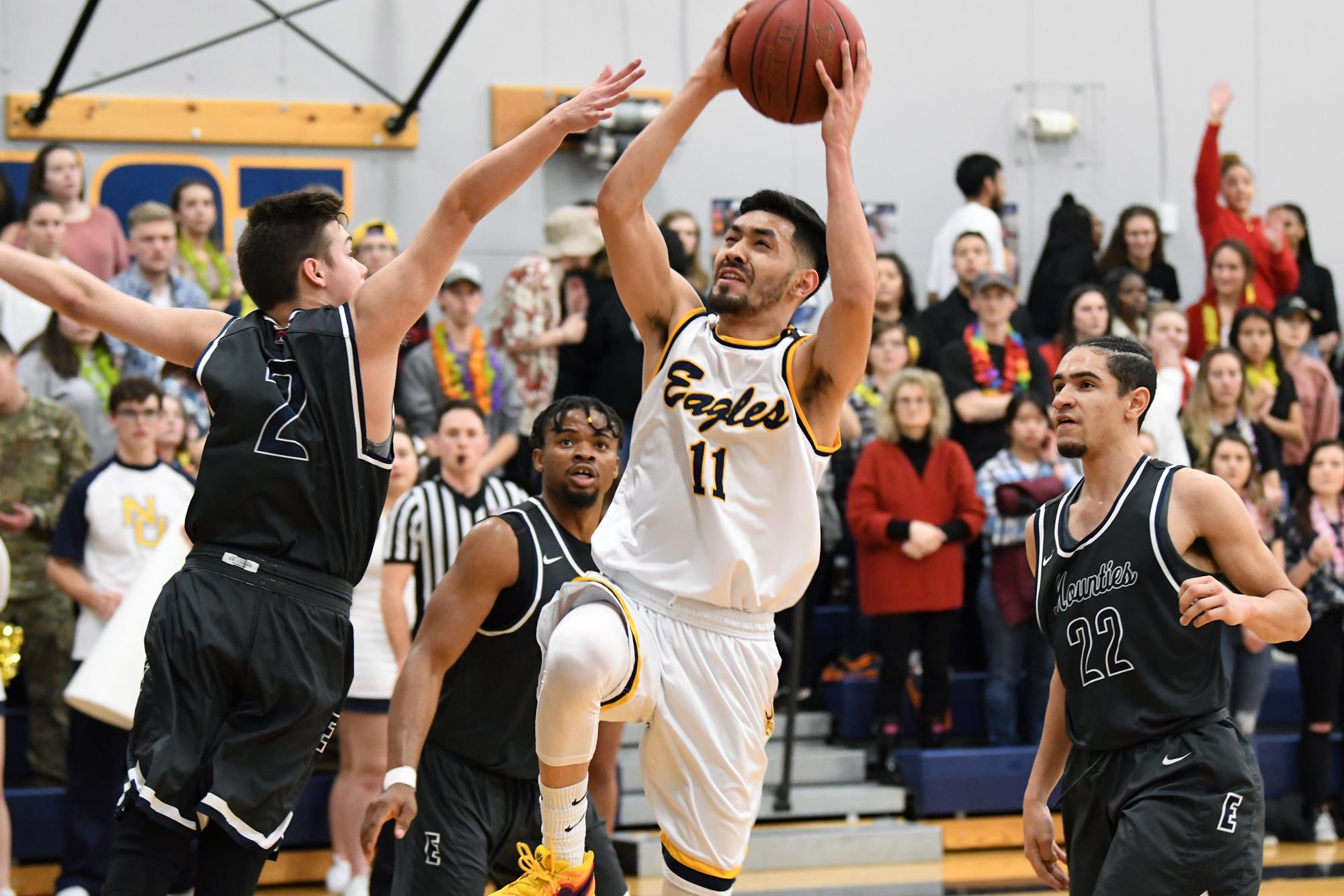 Nick NAVARRO - Men's Basketball - Northwest University Athletics