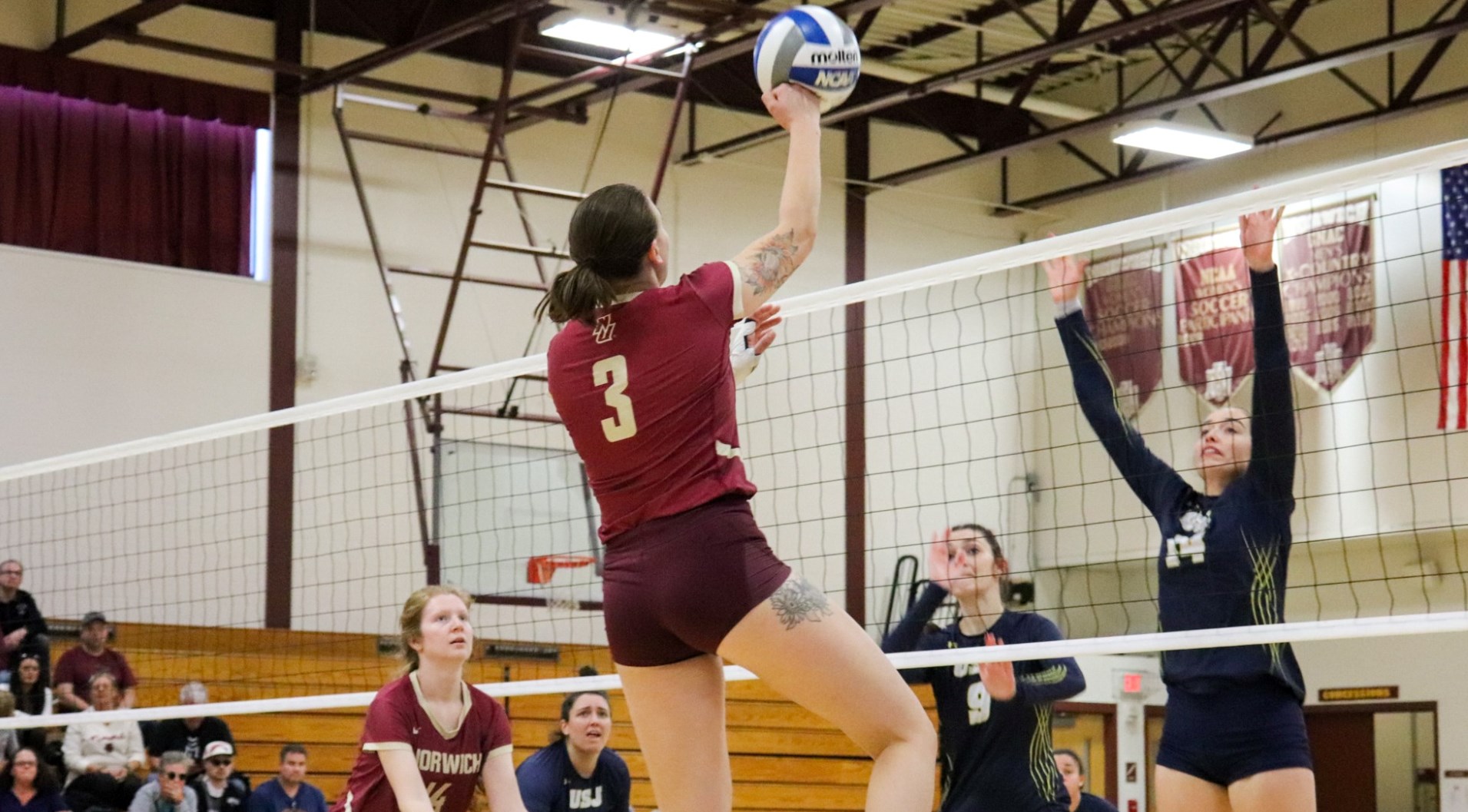 Addison Schroeder - 2022 - Women's Volleyball - Norwich University