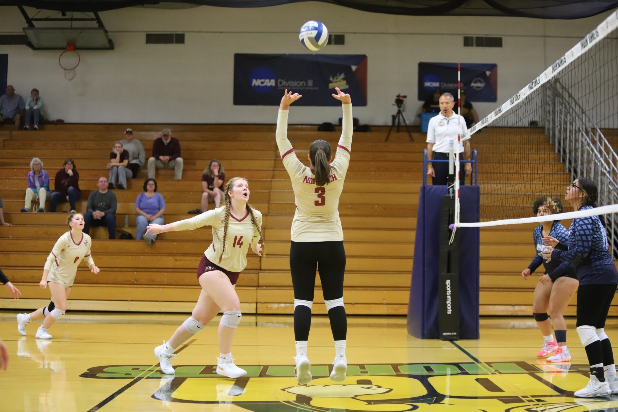 Leah Mathewson - 2023 - Women's Volleyball - Norwich University