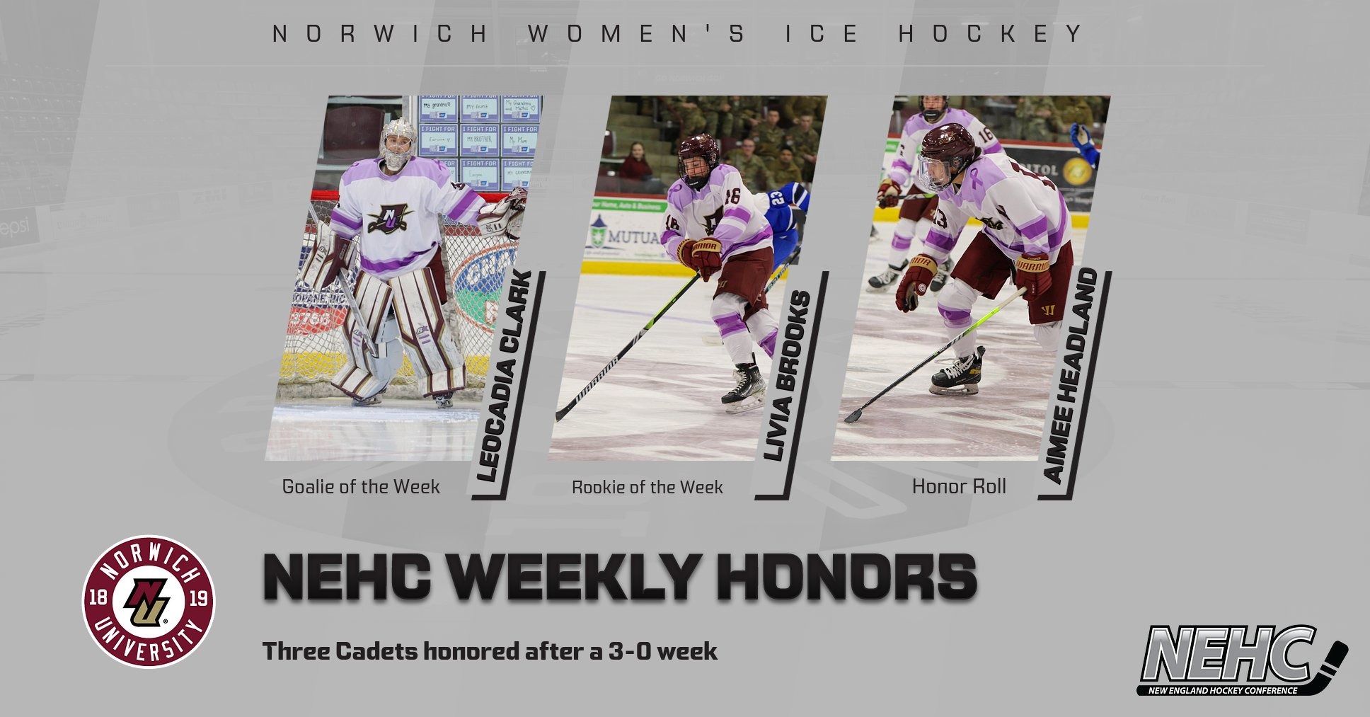 Women's Ice Hockey: Clark, Brooks, Headland Earn NEHC Weekly Honors ...