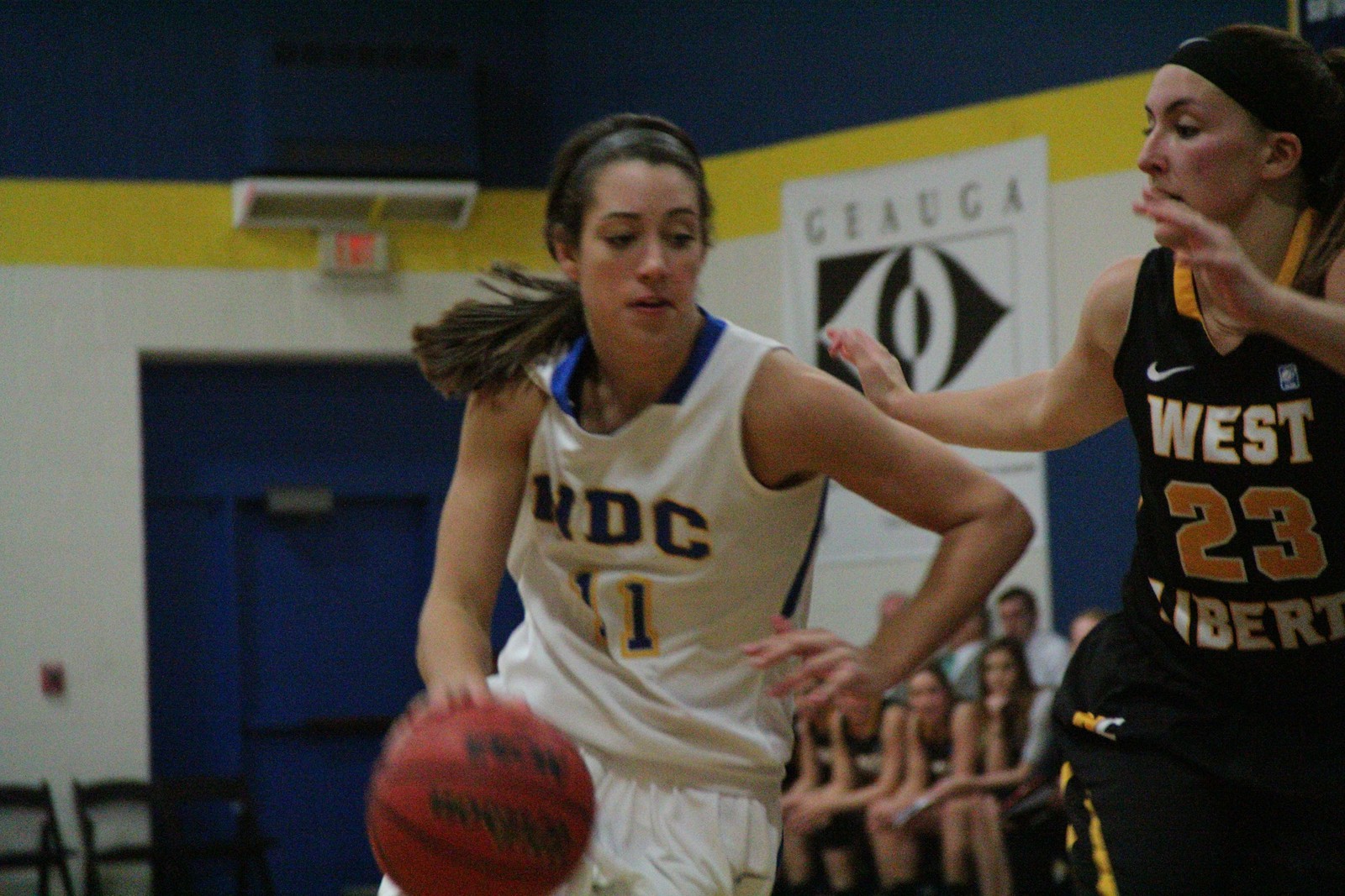 Ciara Reed - Women's Basketball - Notre Dame College Athletics