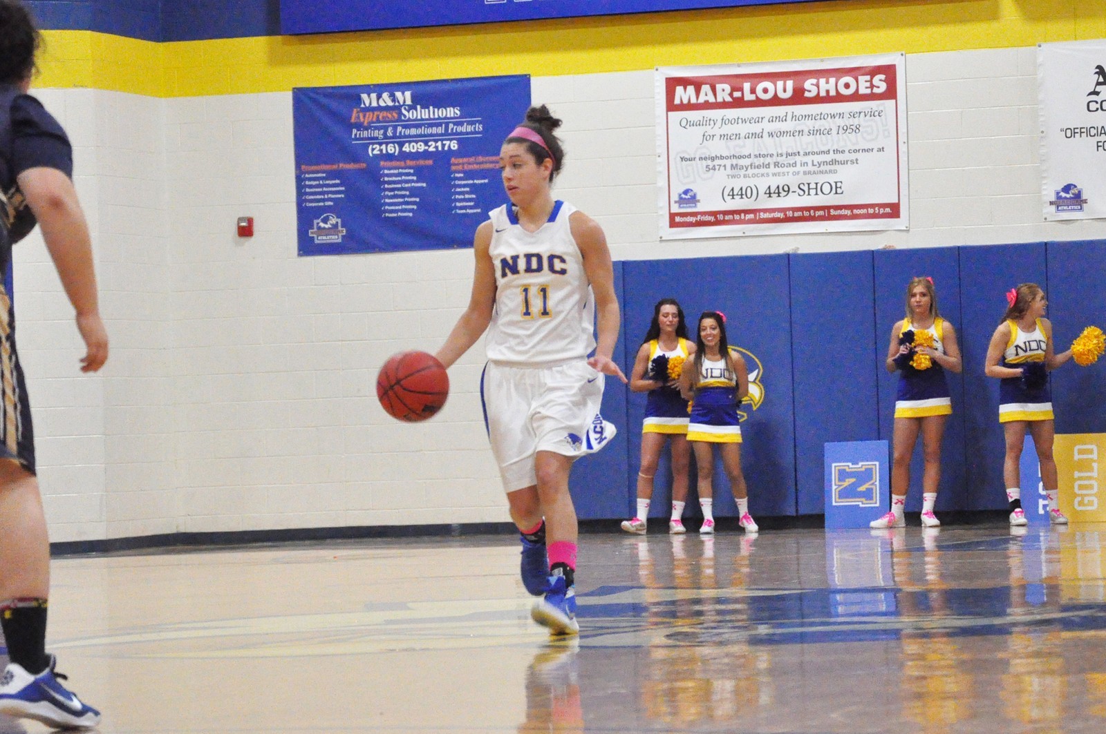 Ciara Reed - Women's Basketball - Notre Dame College Athletics