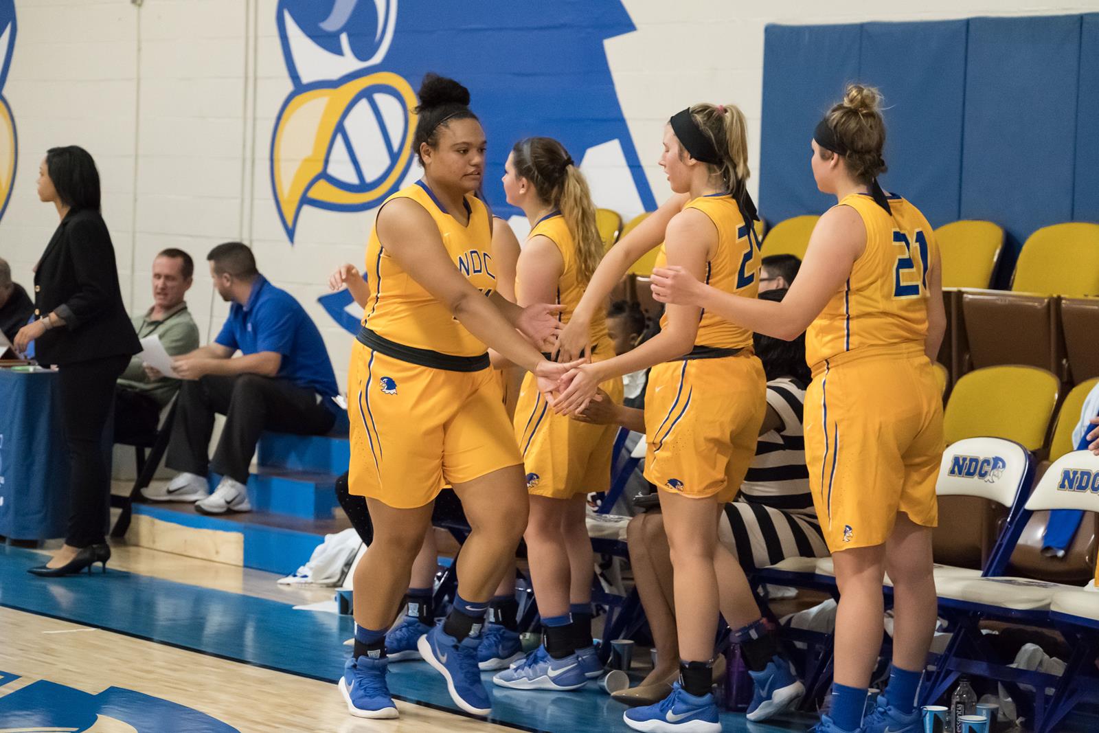 Shay Davidson - Women's Basketball - Notre Dame College Athletics