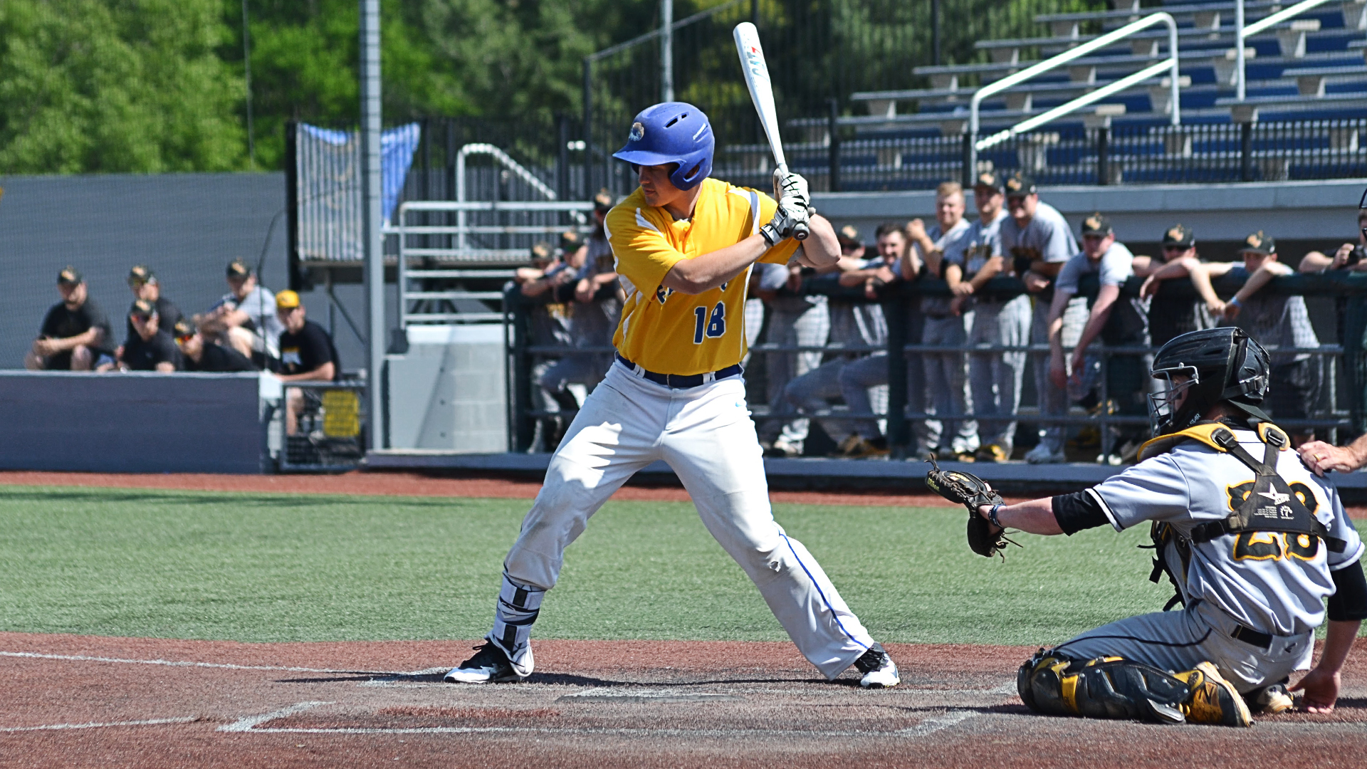 Nick Farrell - Baseball - Notre Dame College Athletics