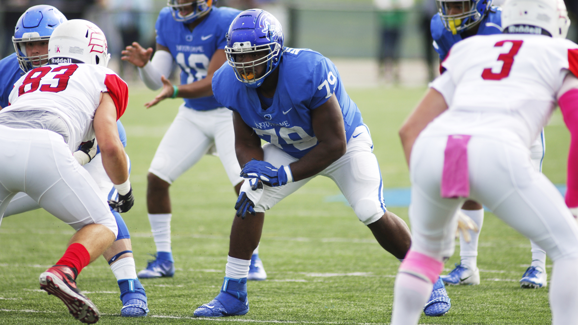Brandon Nicholson - Football - Notre Dame College Athletics