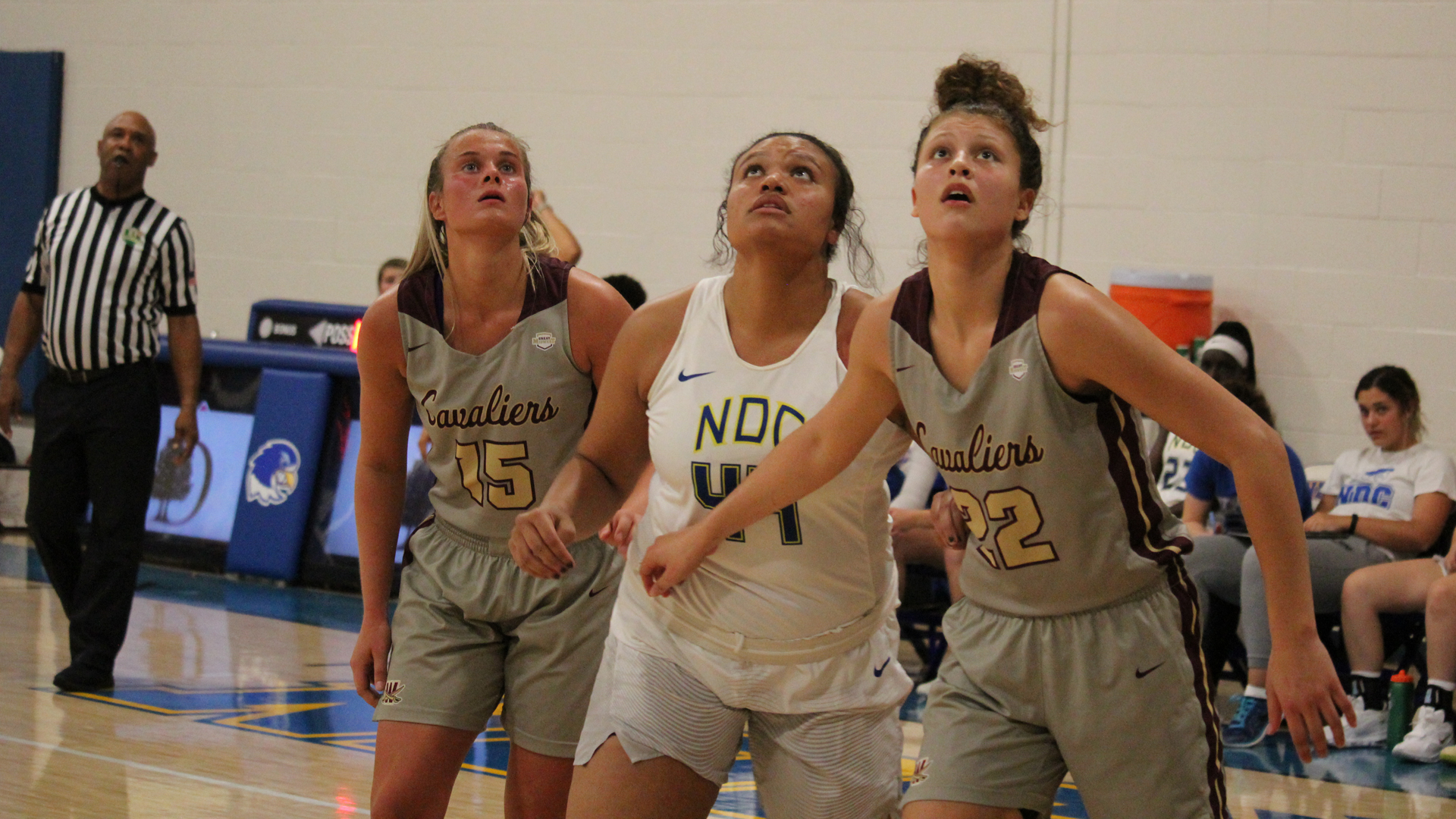 Shay Davidson - Women's Basketball - Notre Dame College Athletics