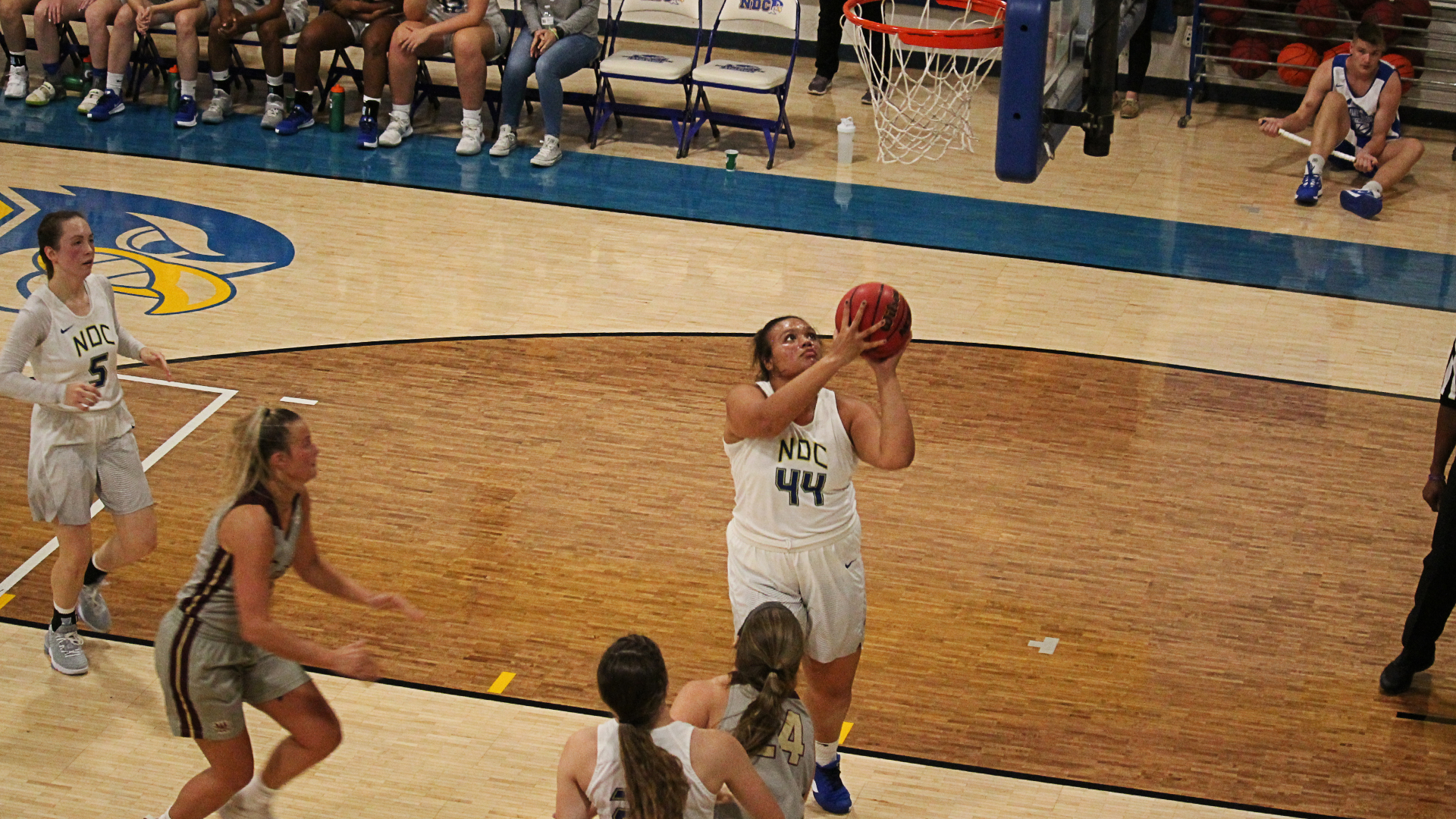 Shay Davidson - Women's Basketball - Notre Dame College Athletics