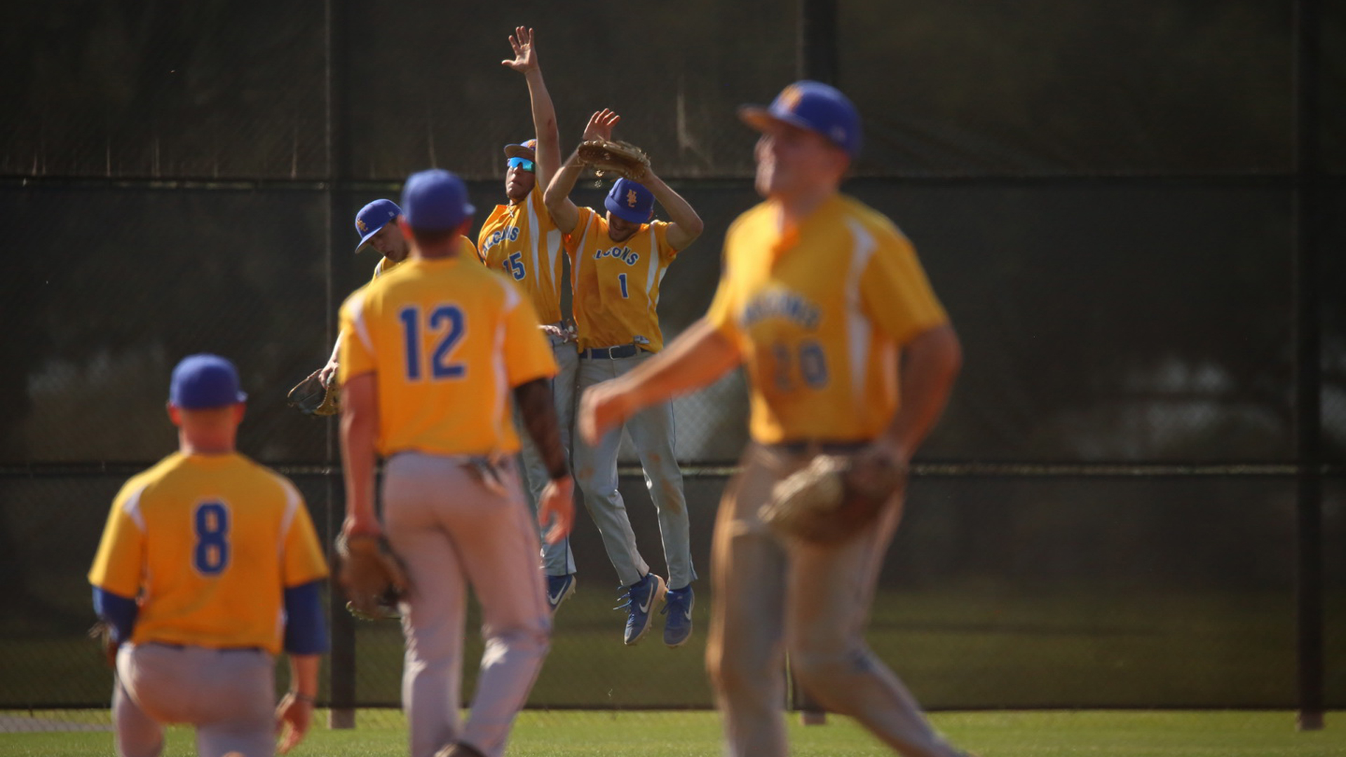 Lukas Thompson - Baseball - Notre Dame College Athletics