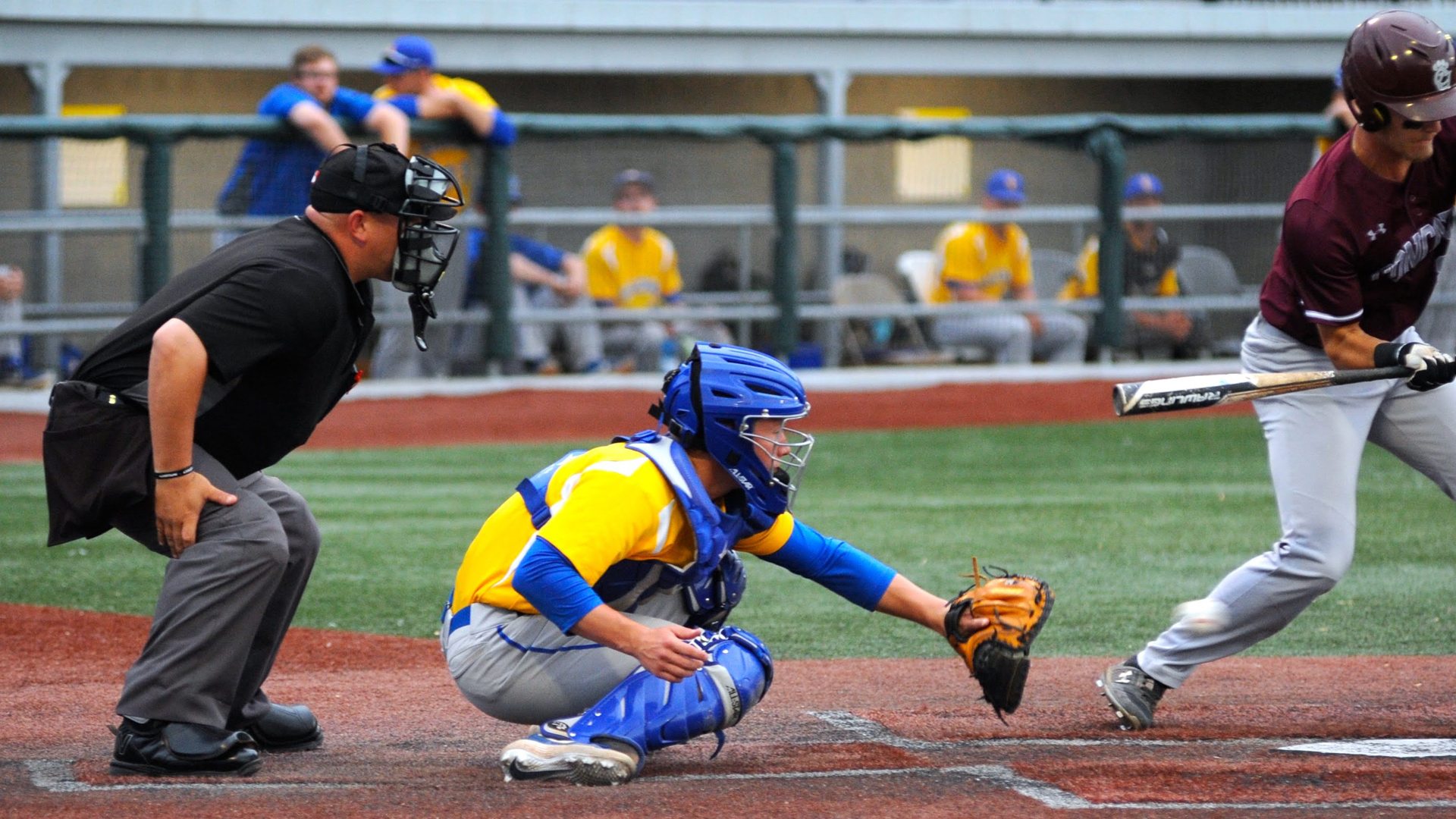 Matt Richards - Baseball - Notre Dame College Athletics