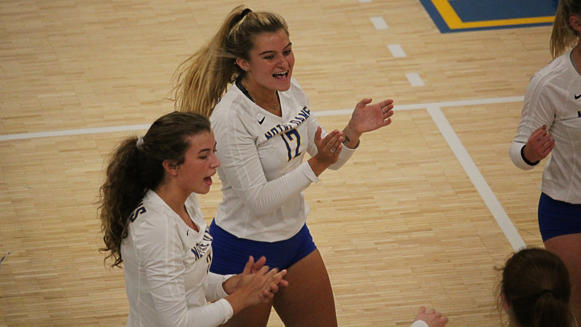 Lauren Toman - Volleyball - Notre Dame College Athletics