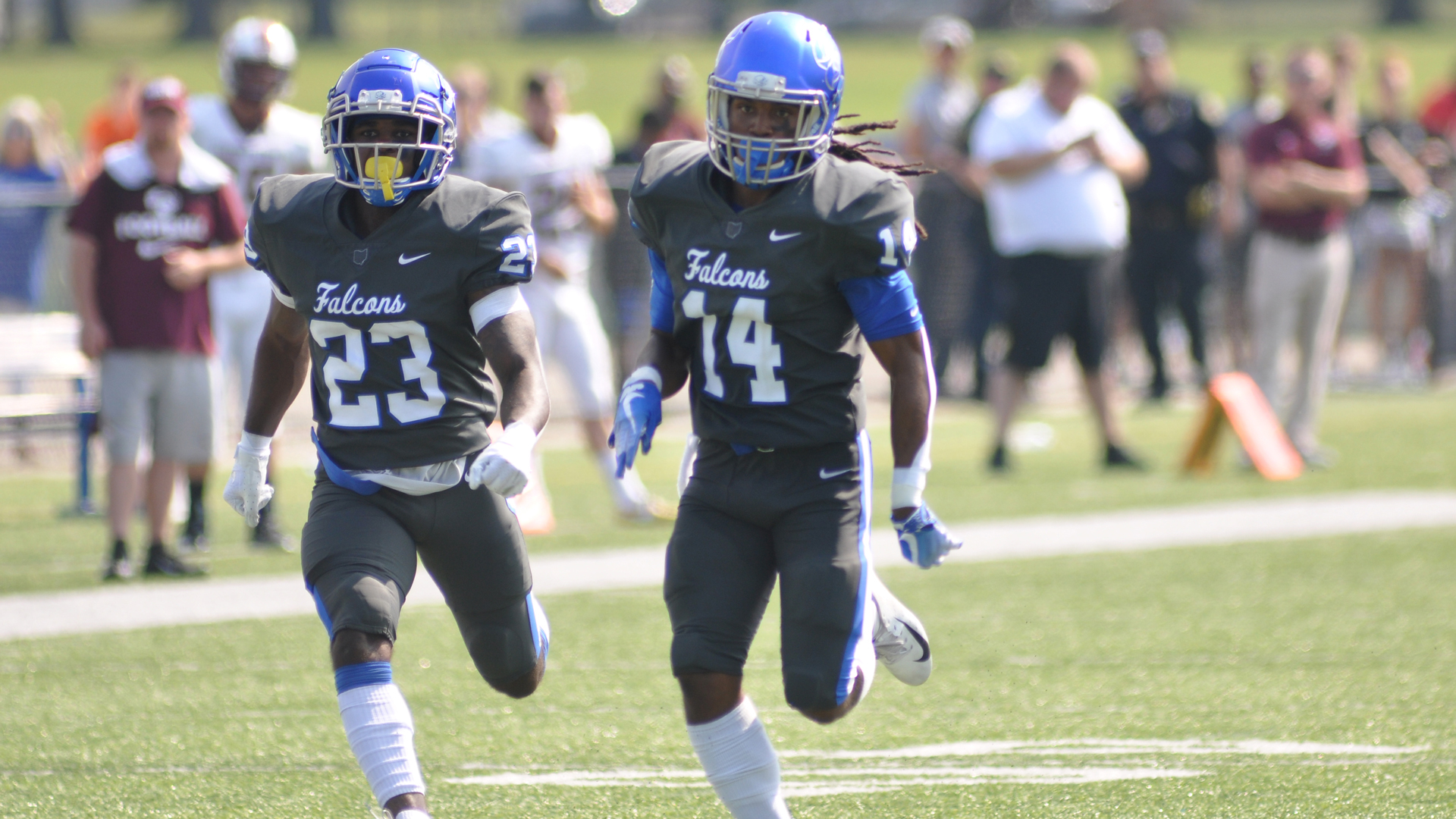 Darrius Alston - Football - Notre Dame College Athletics