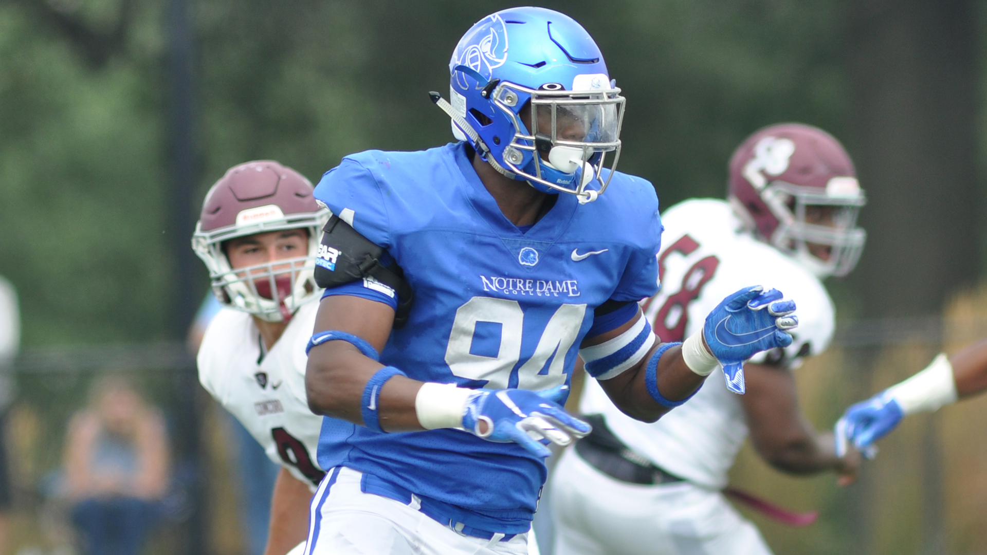 Derrick Brumfield - Football - Notre Dame College Athletics
