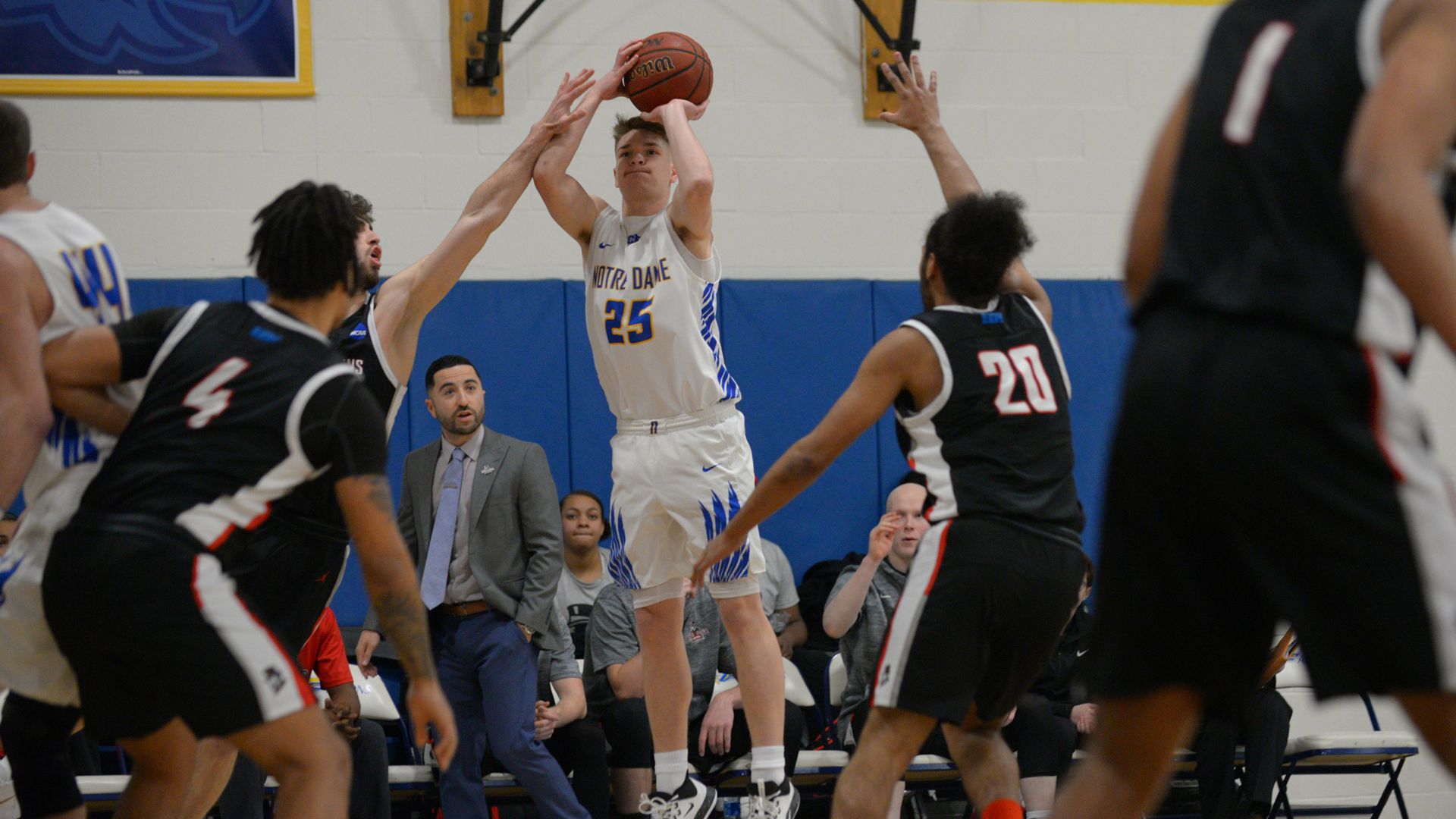 Levi Frankland - Men's Basketball - Notre Dame College Athletics