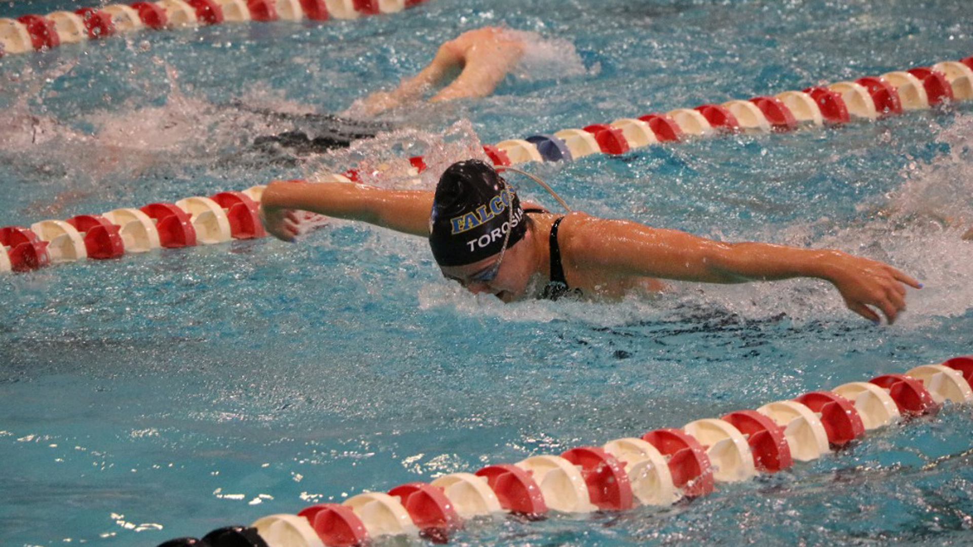 Alexis Torosian - Women's Swimming and Diving - Notre Dame College ...