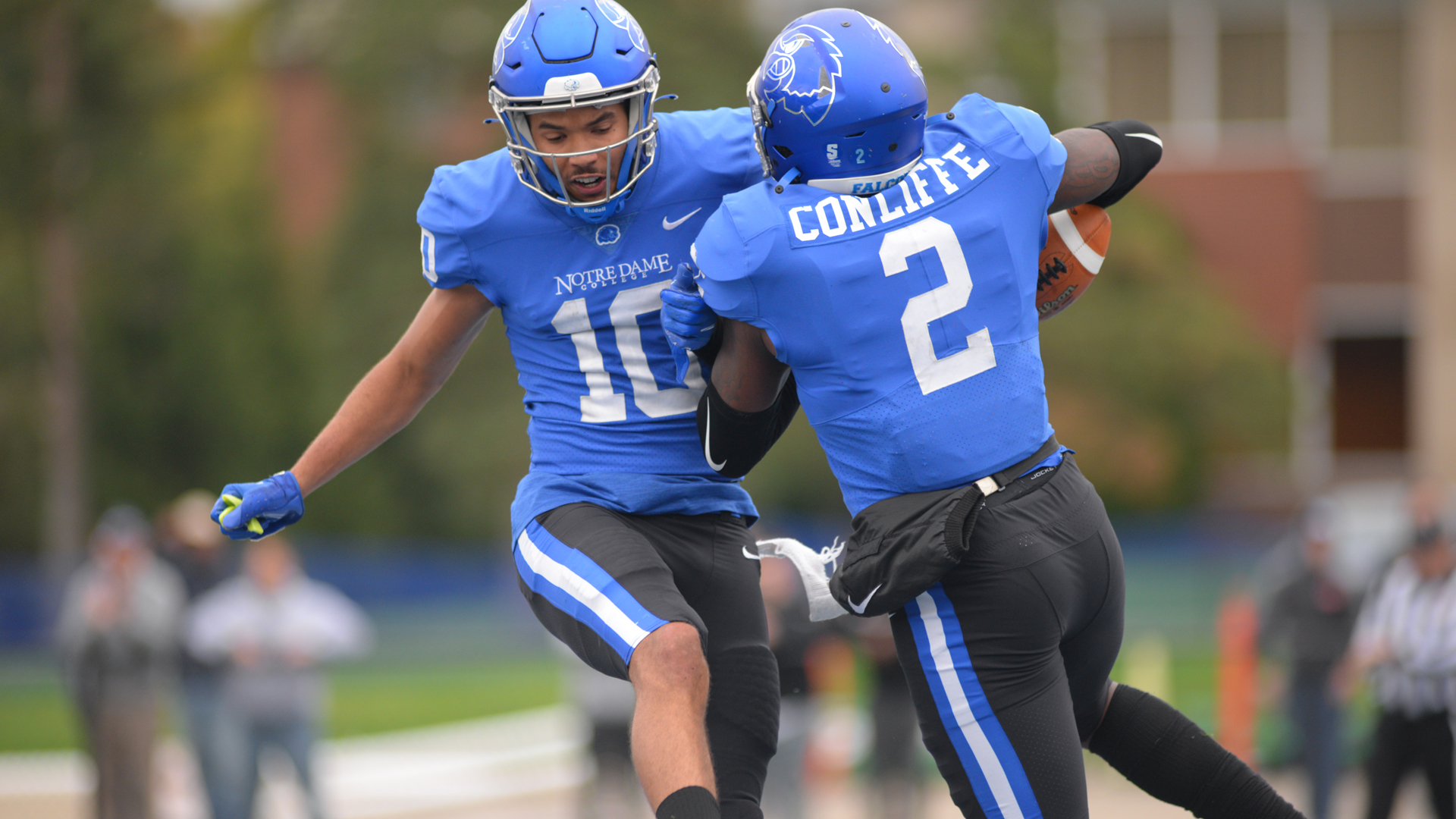 Davis Patterson - Football - Notre Dame College Athletics