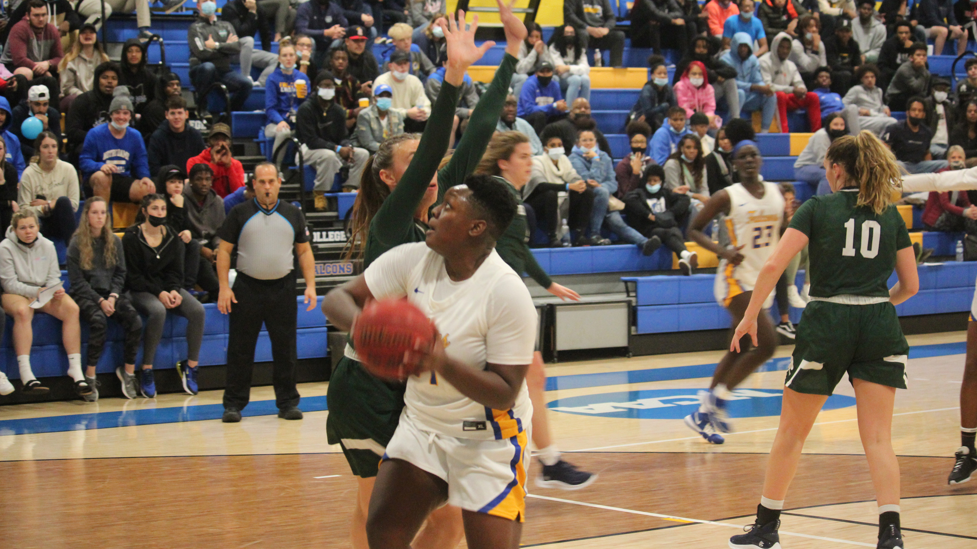 Tamia Ridley - Women's Basketball - Notre Dame College Athletics