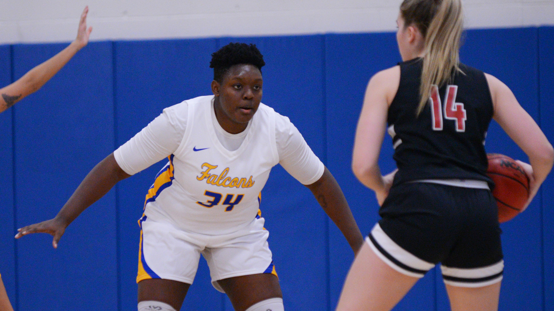 Tamia Ridley - Women's Basketball - Notre Dame College Athletics