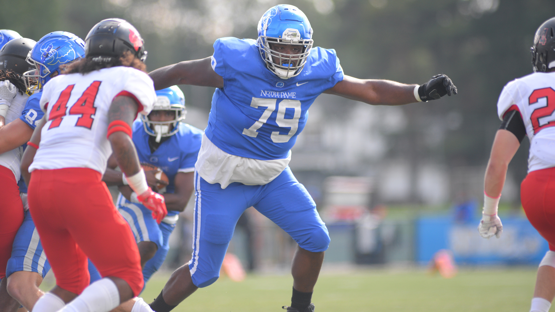 Brandon Nicholson - Football - Notre Dame College Athletics