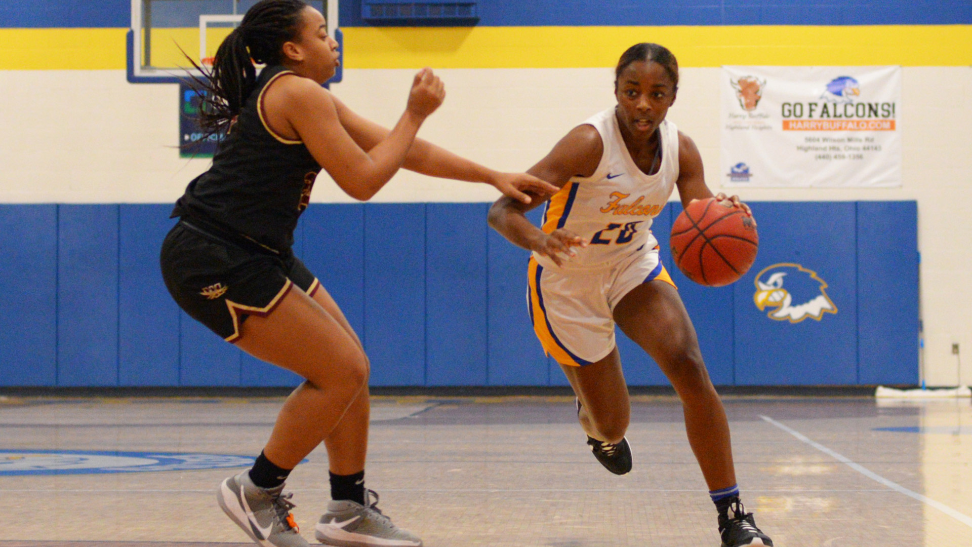 Alana Ellis - Women's Basketball - Notre Dame College Athletics