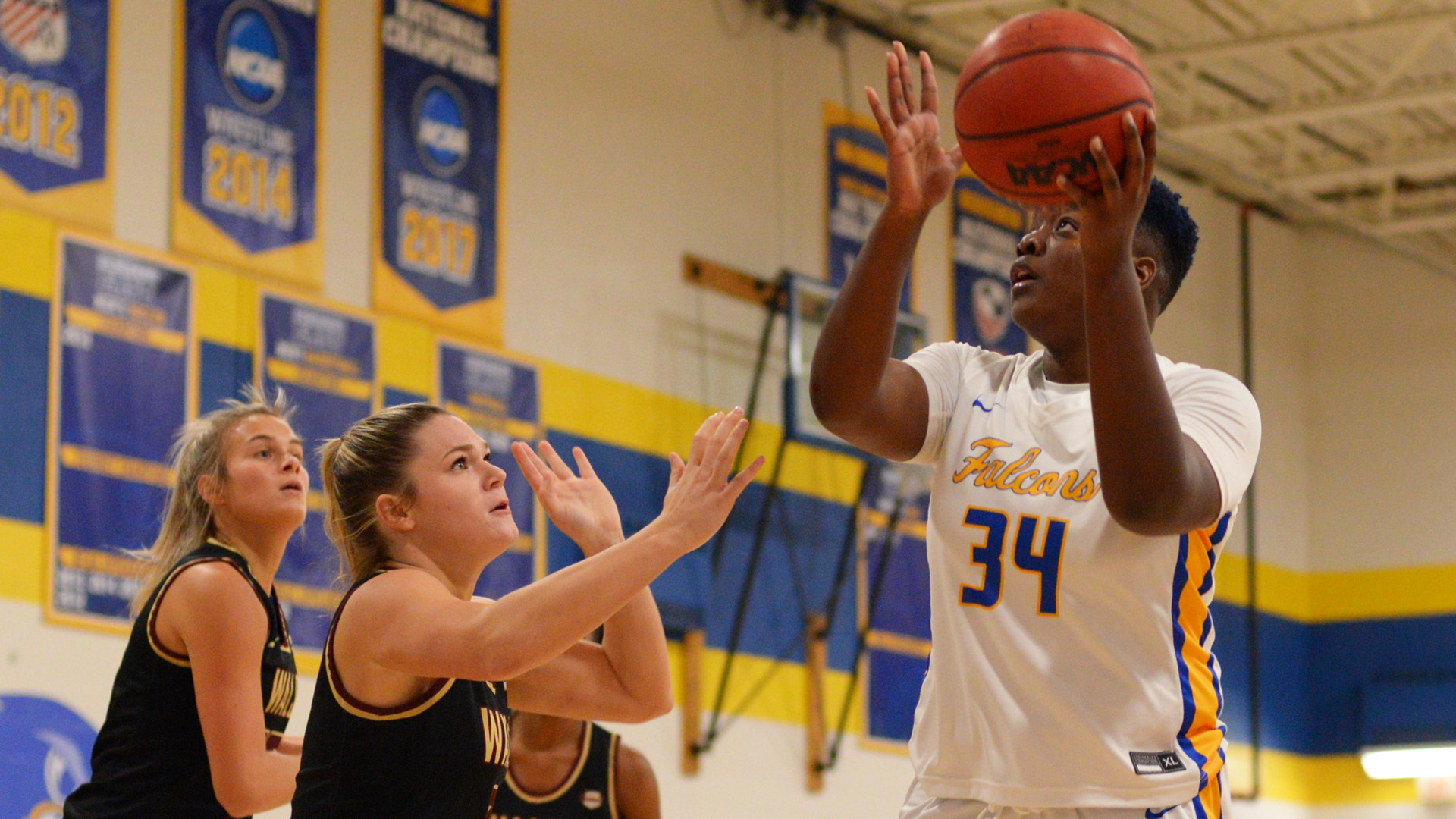 Tamia Ridley - Women's Basketball - Notre Dame College Athletics