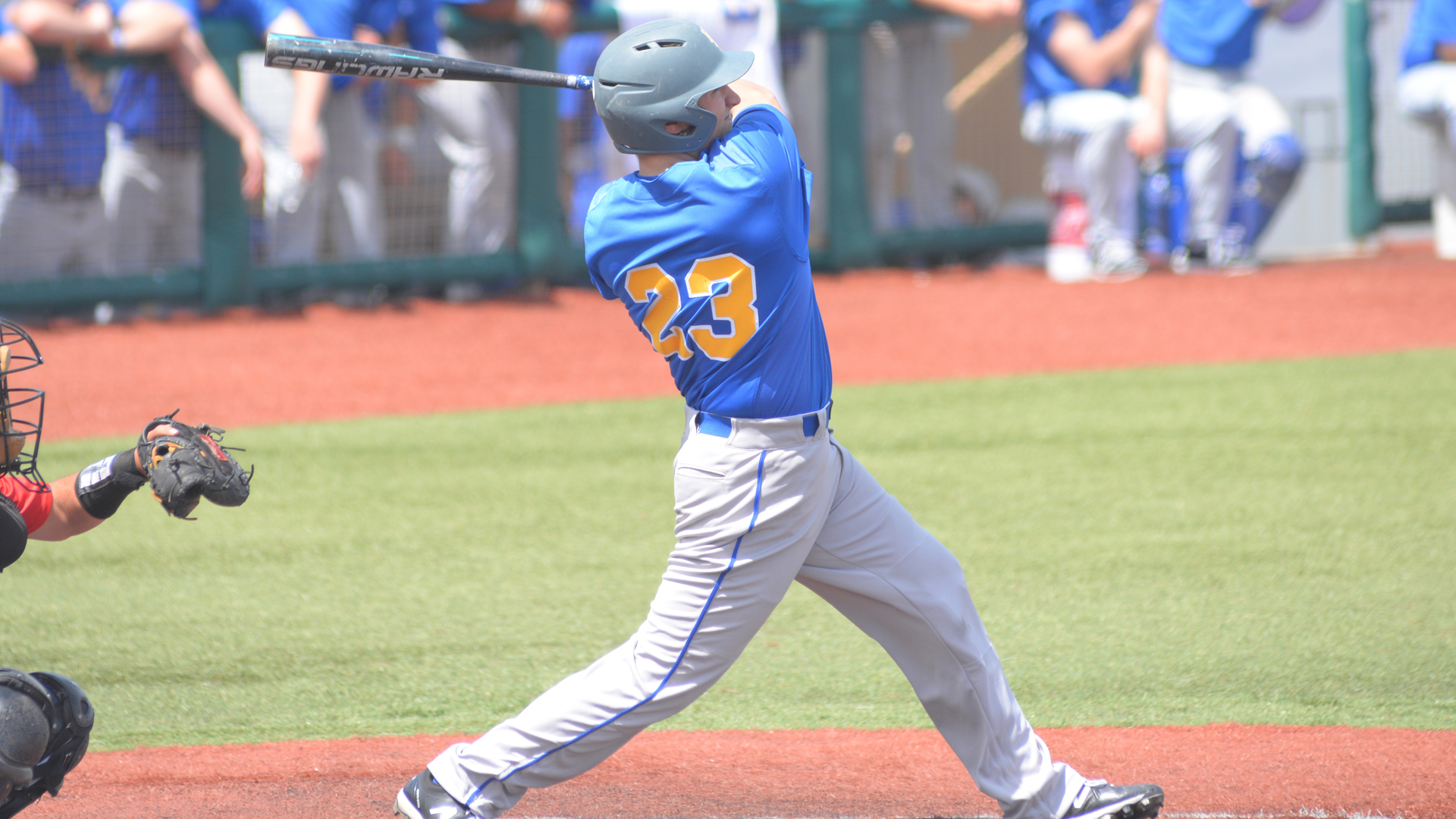 Nick Petrolla - Baseball - Notre Dame College Athletics