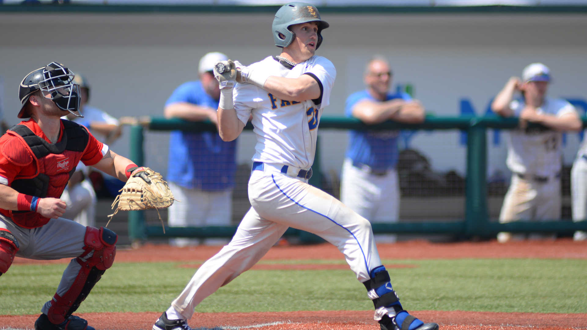 Nick Farrell - Baseball - Notre Dame College Athletics