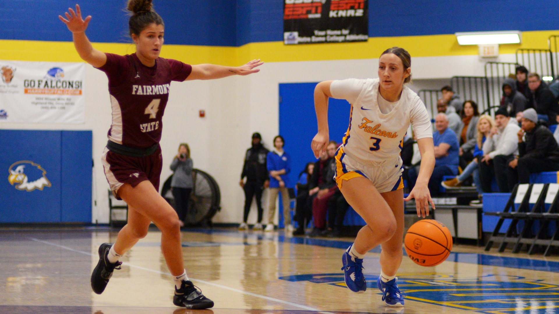 Karli Anker - Women's Basketball - Notre Dame College Athletics