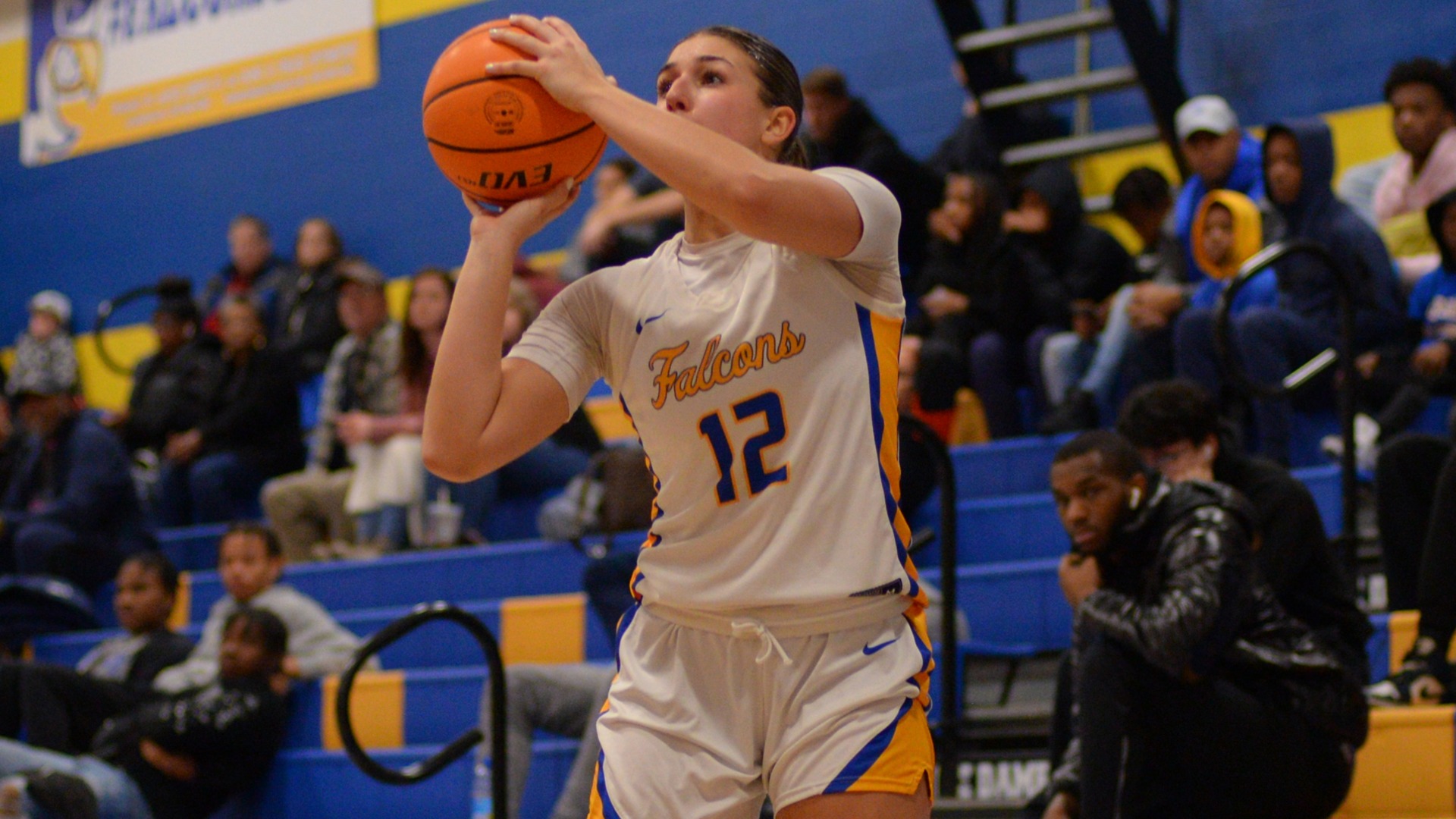 Lizzie Imrie - Women's Basketball - Notre Dame College Athletics