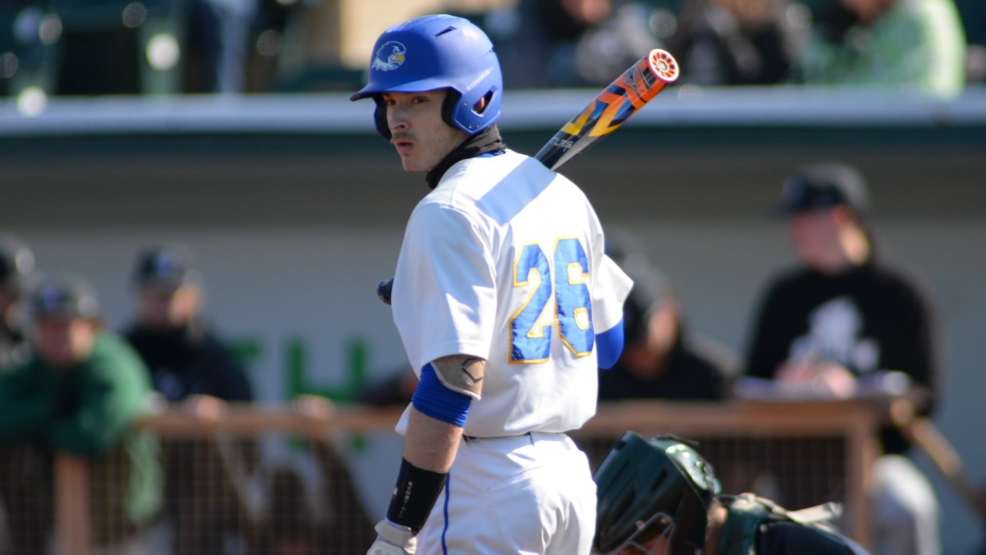Aaron Miranda - Baseball - Notre Dame College Athletics