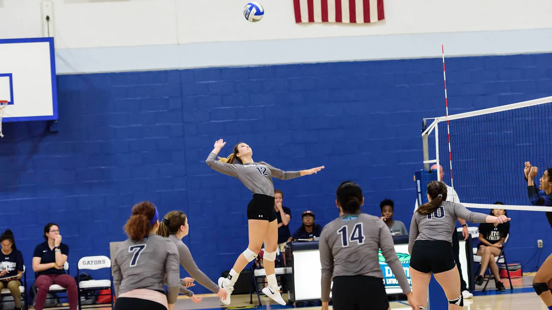 Kayleigh Davis - Women's Volleyball - Notre Dame of Maryland University ...