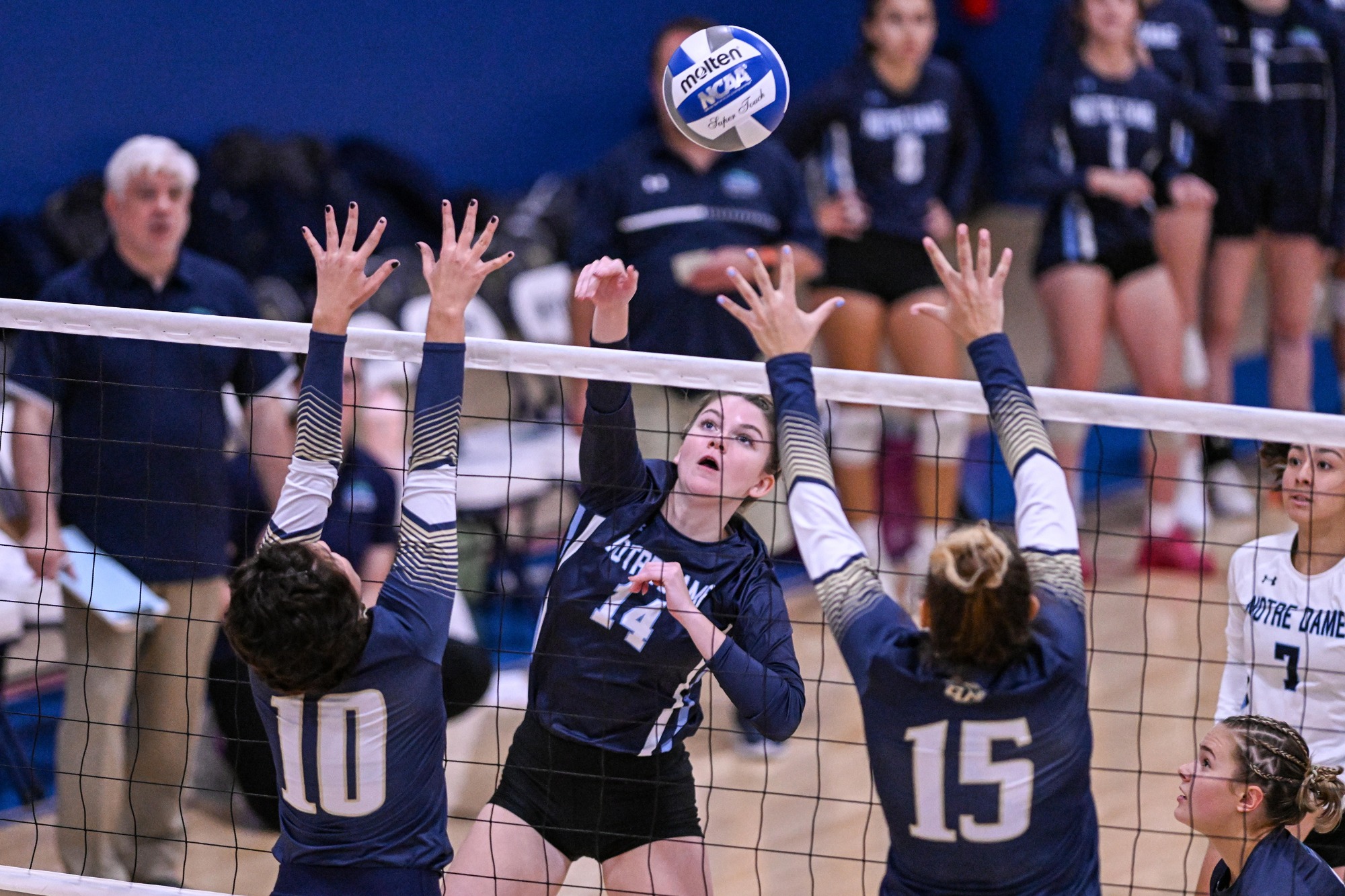 Erin Shaw - Women's Volleyball - Notre Dame of Maryland University ...