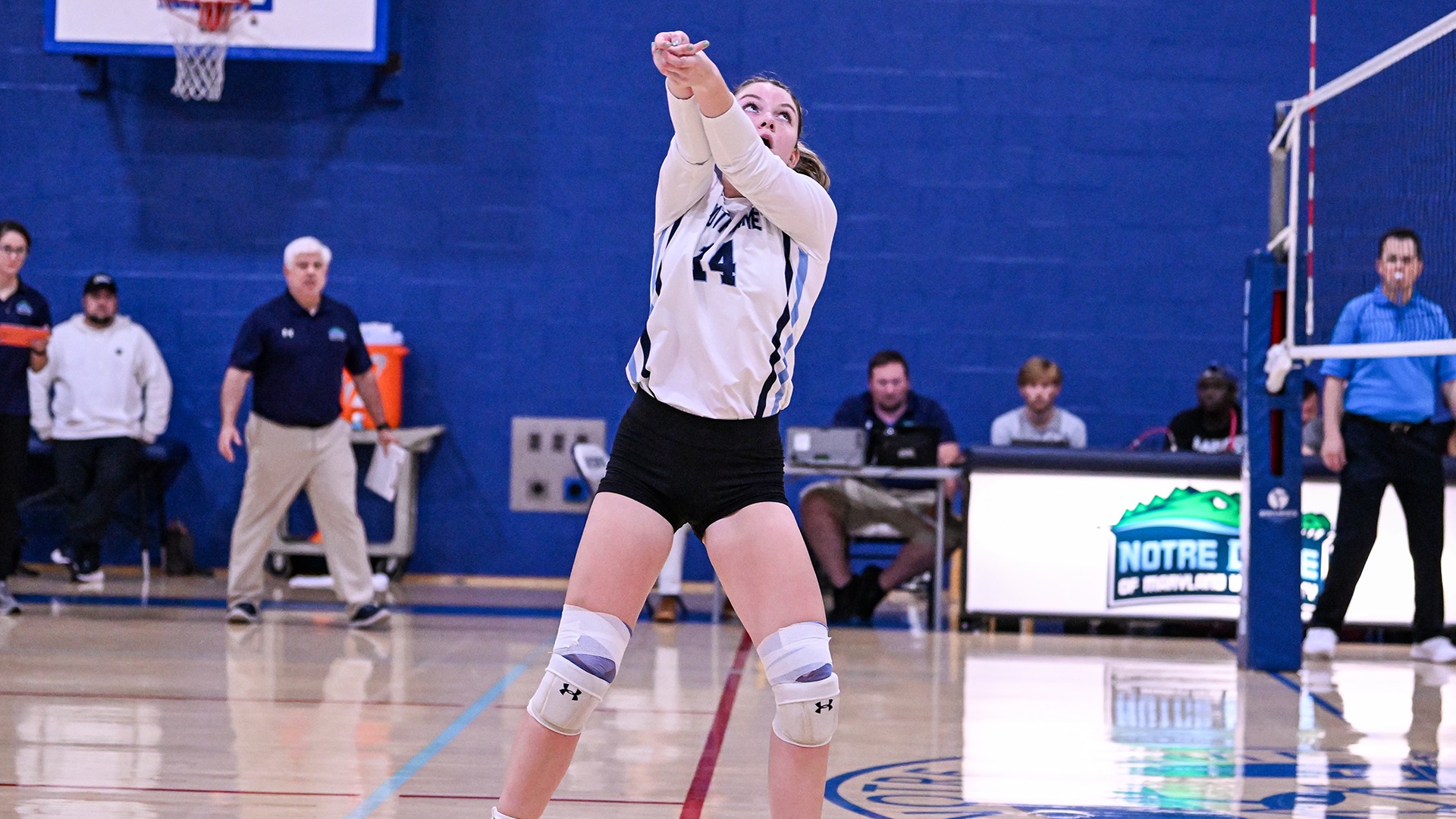 Erin Shaw - Women's Volleyball - Notre Dame of Maryland University ...