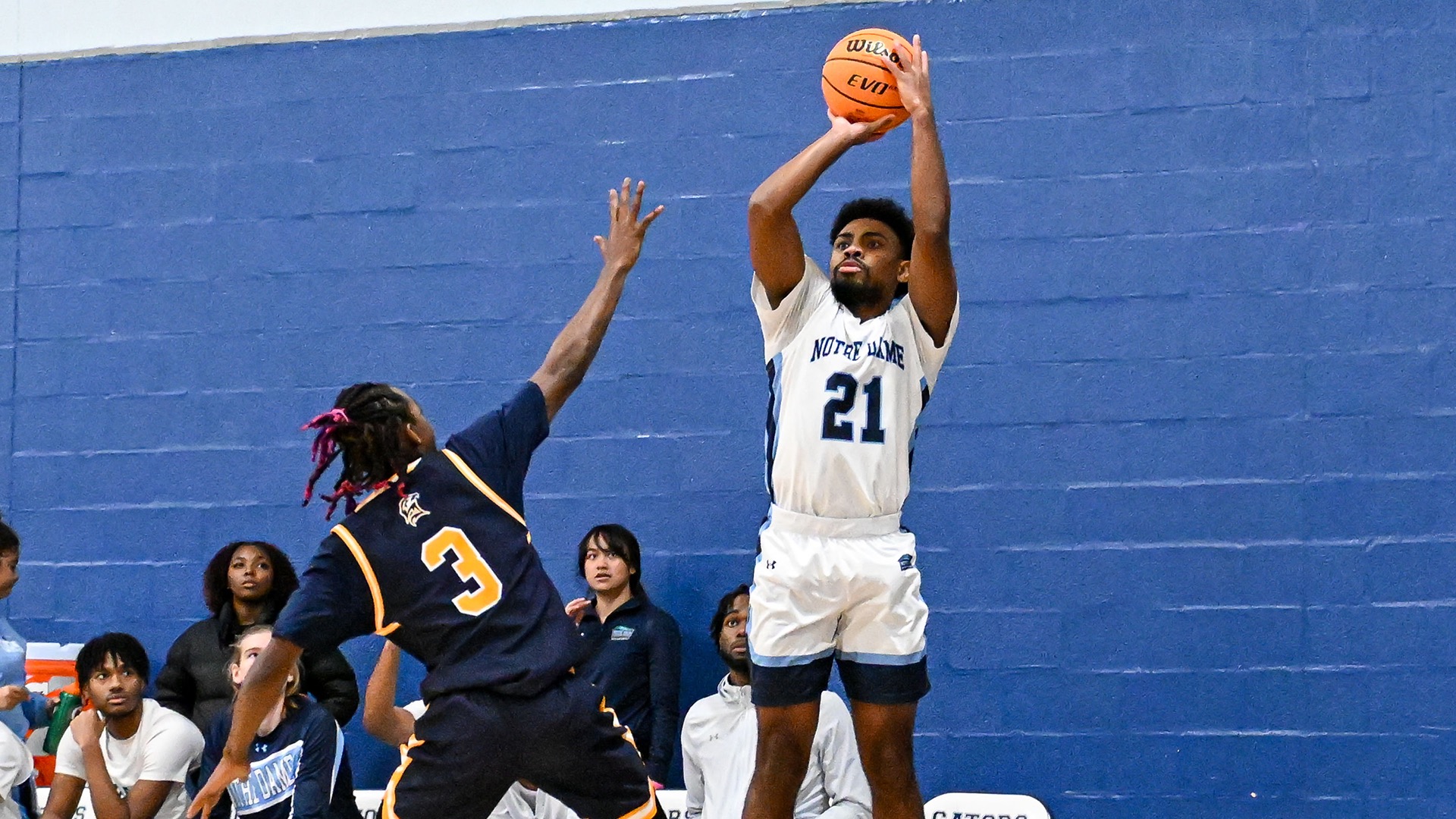 Men's Basketball Falls at the Buzzer In Regular Season Finale - Notre ...